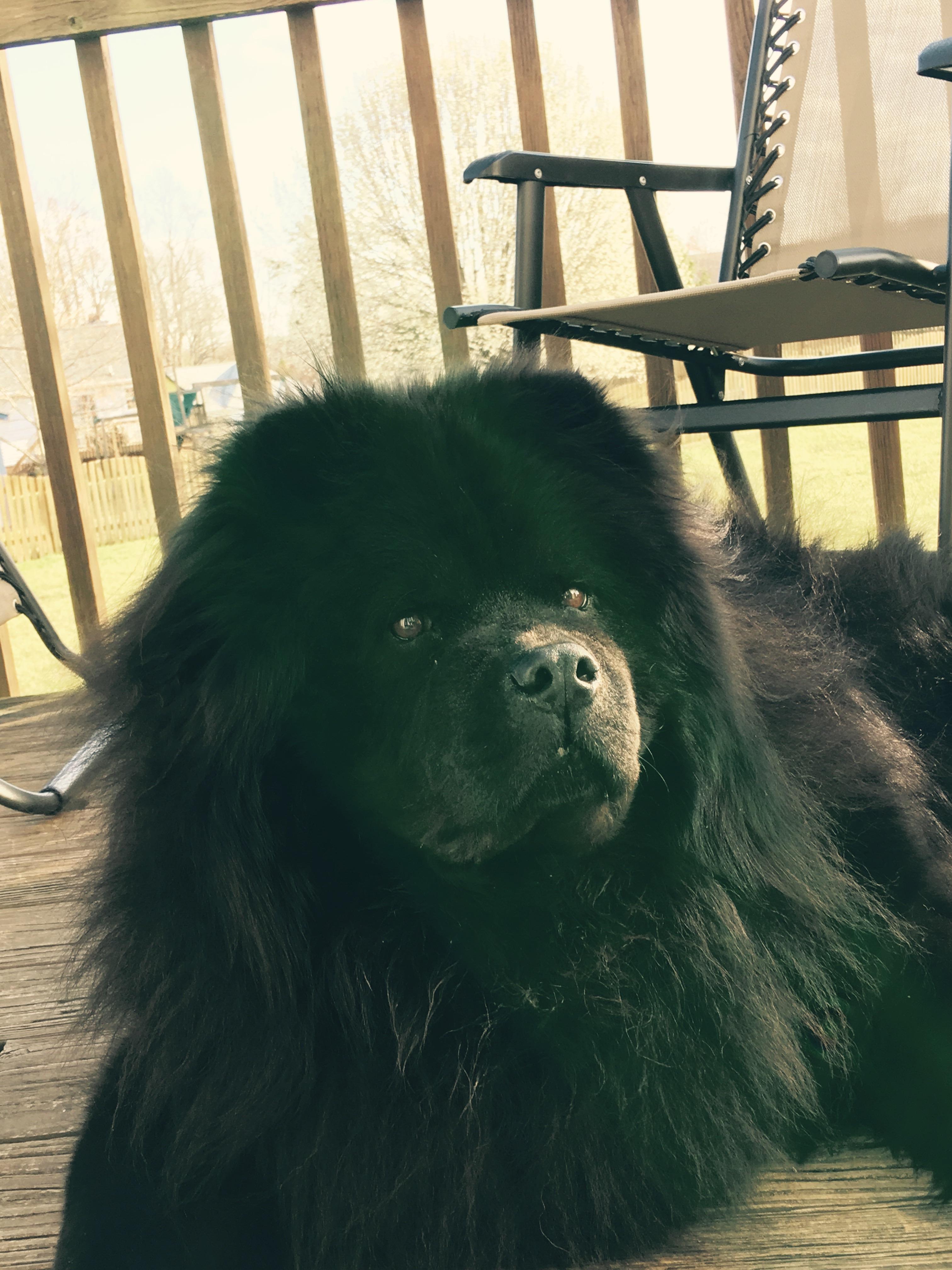 My boy turned 7...love this teddy bear!! | Scrolller