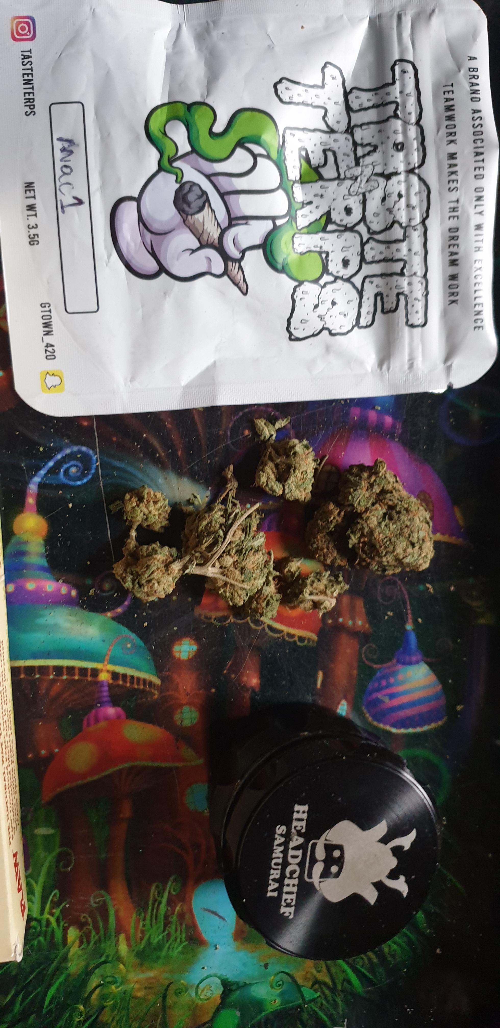 My brother and mine's weed friend Jeremy | Scrolller