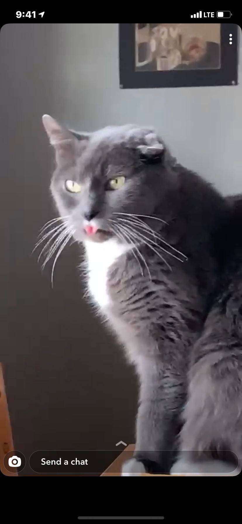 My Brother Sent Me This Lovely Photo Today Scrolller