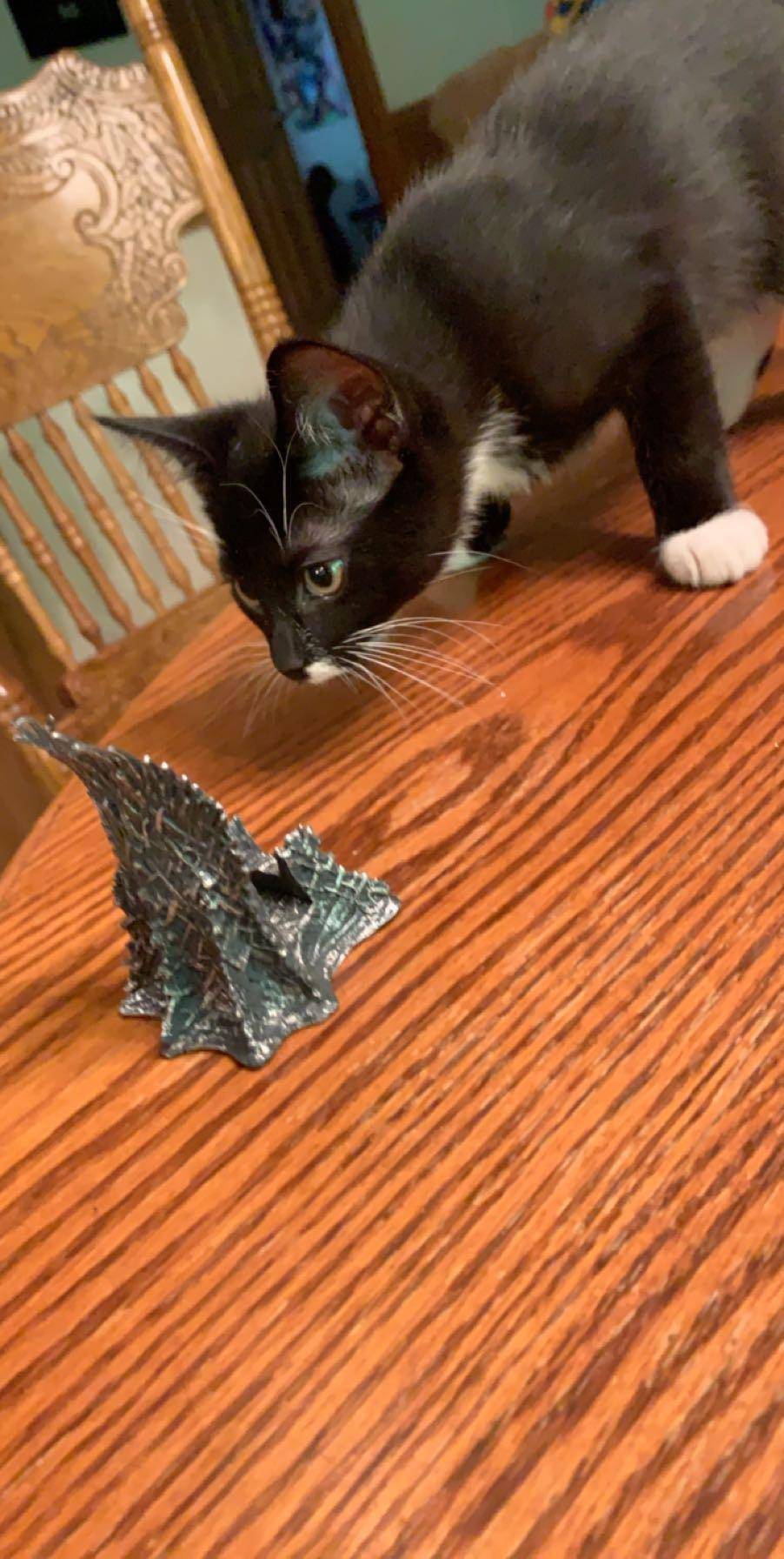 My cat and his iron throne statue! | Scrolller