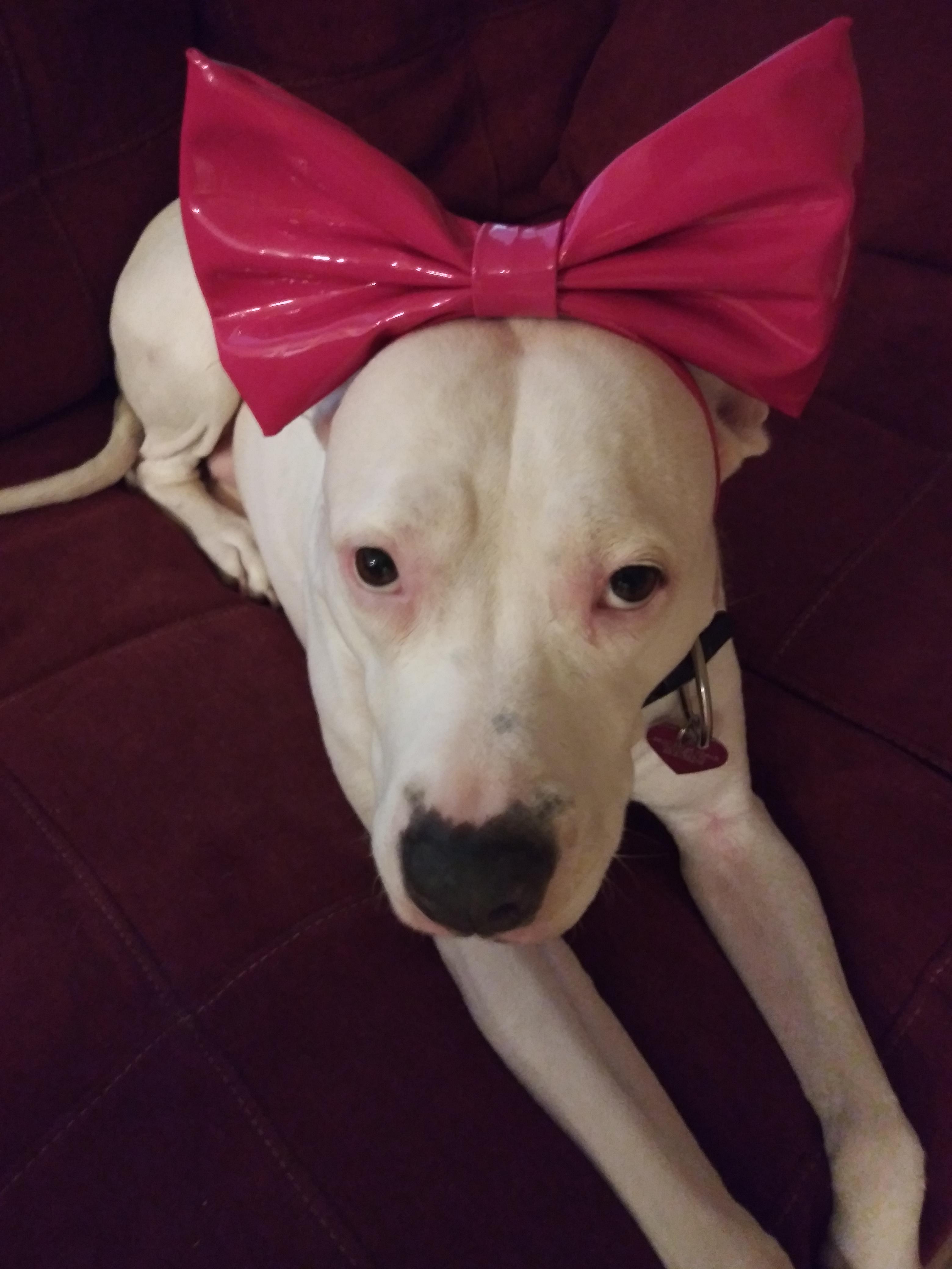 My child loves LOLs | Scrolller