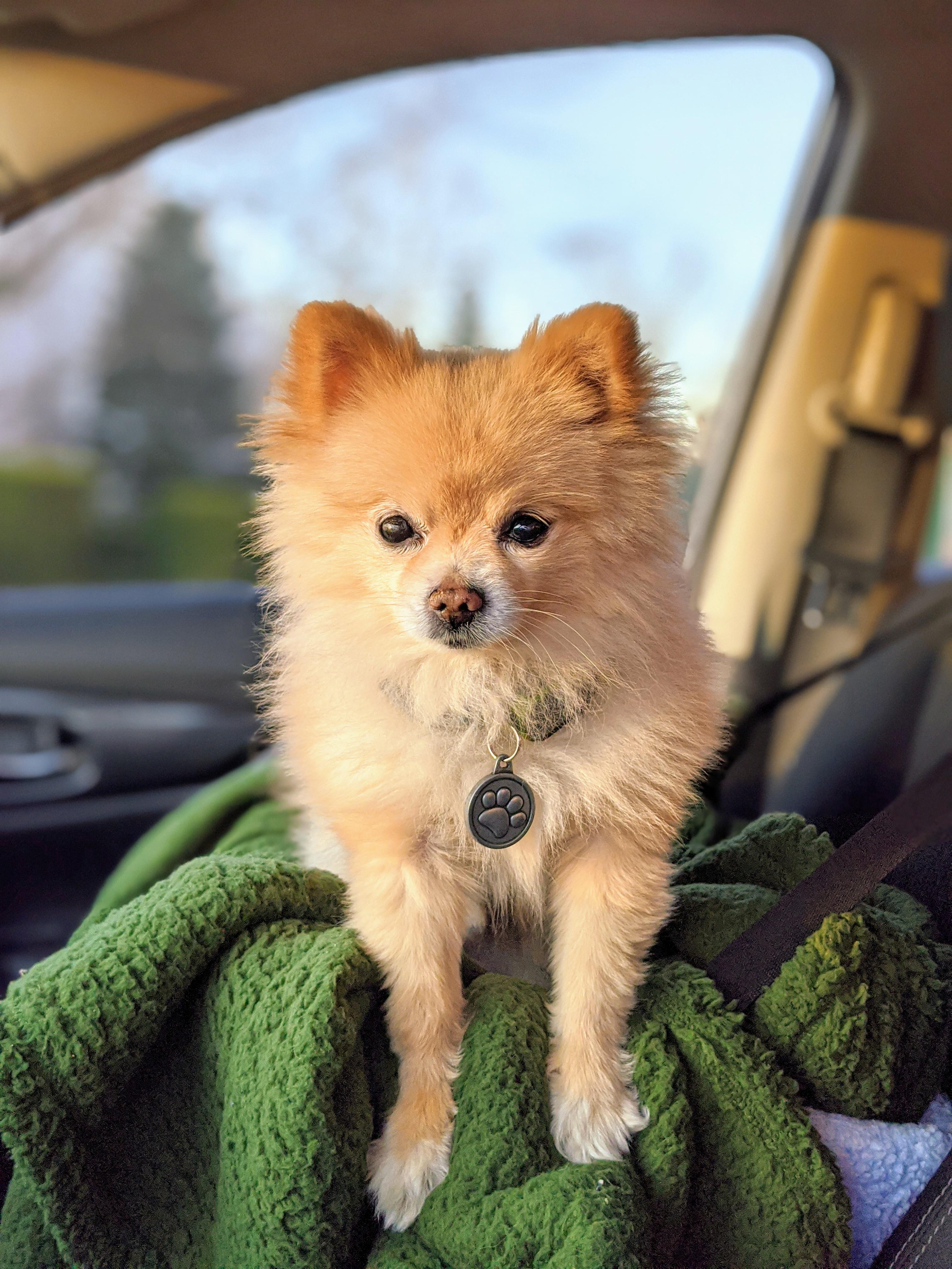 My co-pilot 💙 | Scrolller