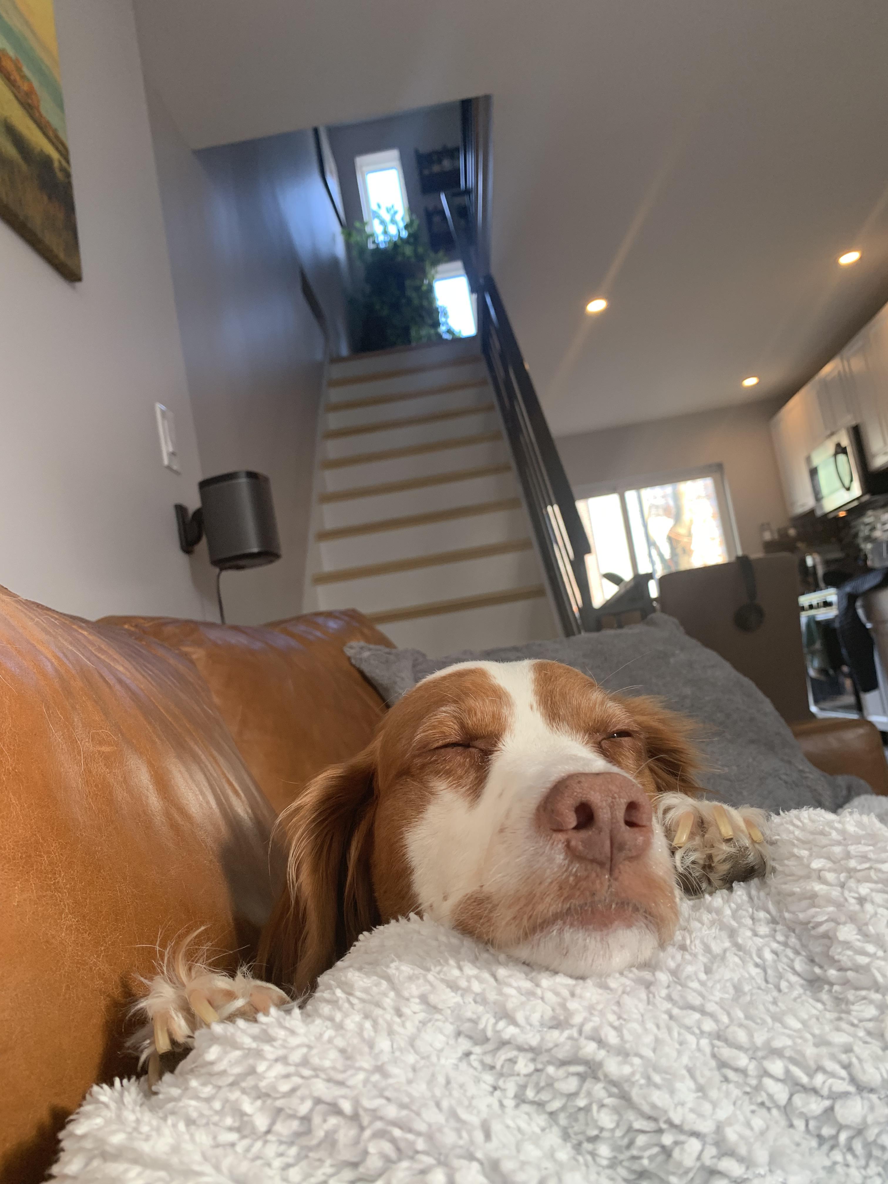 My cuddle buddy | Scrolller