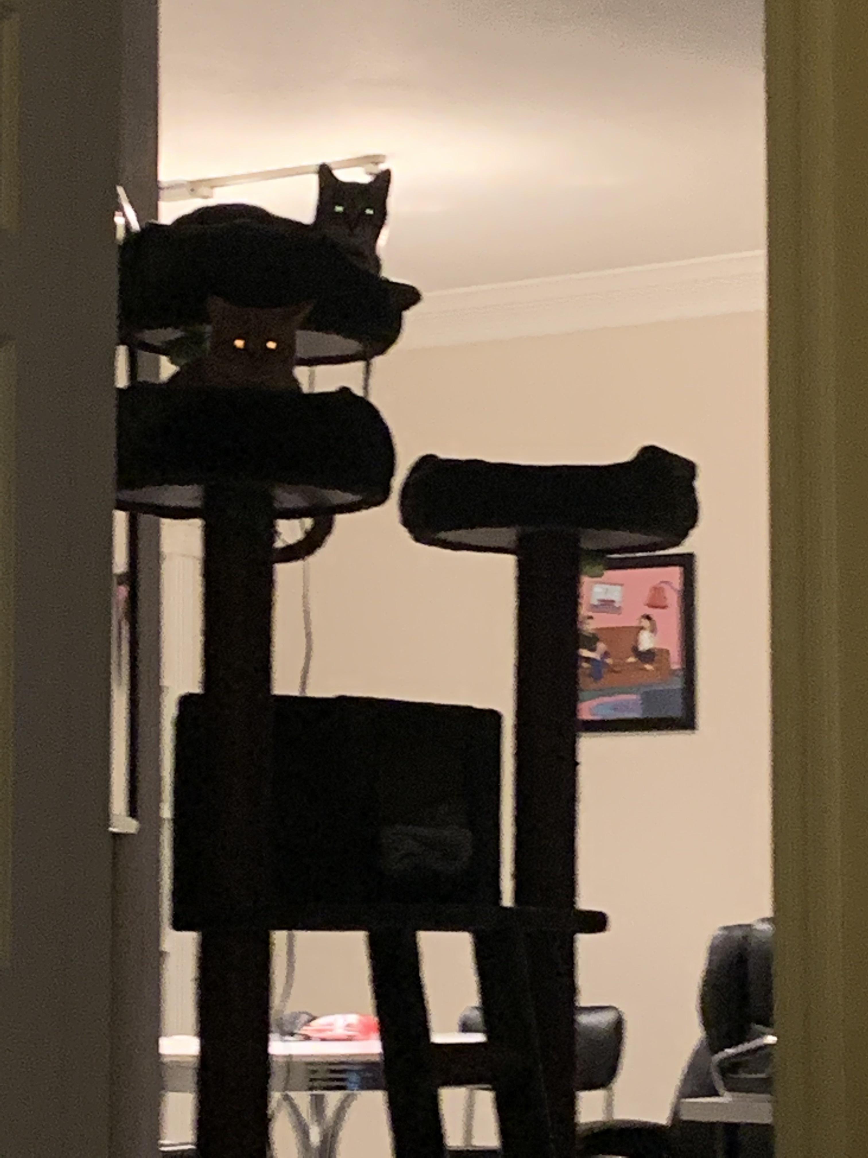 My current view | Scrolller