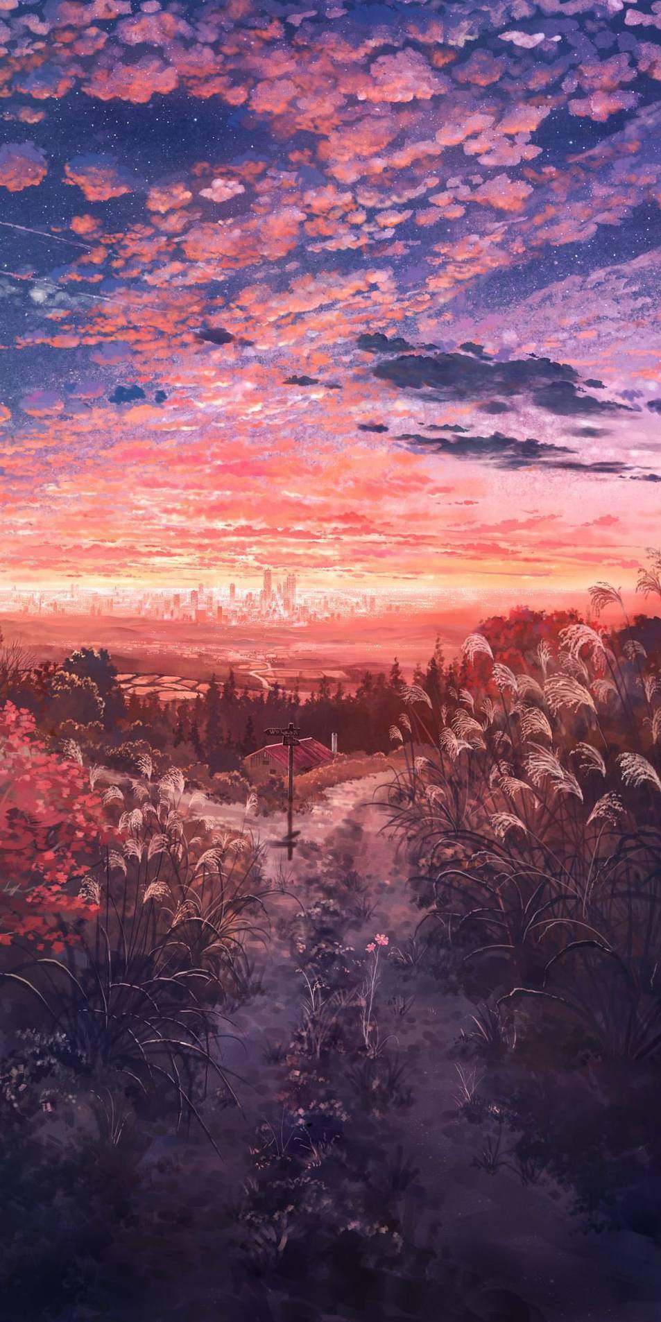 My current wallpaper | Scrolller