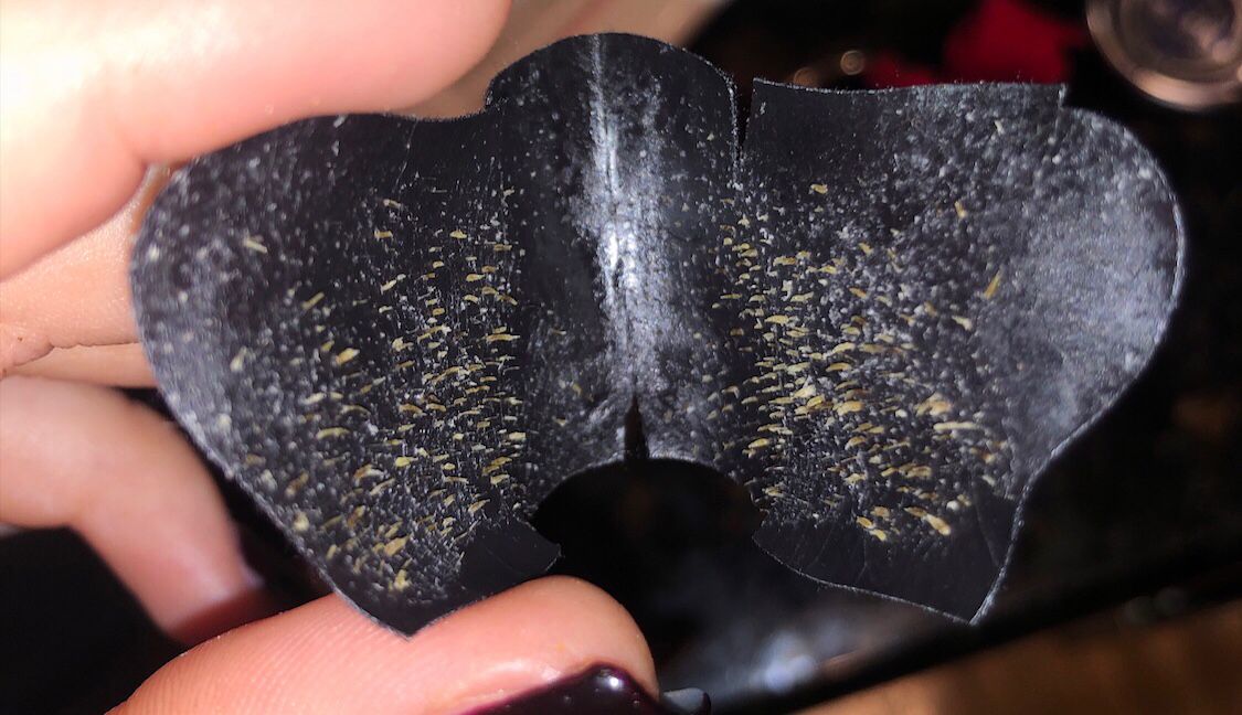 my dad did a pore strip for the first time... | Scrolller