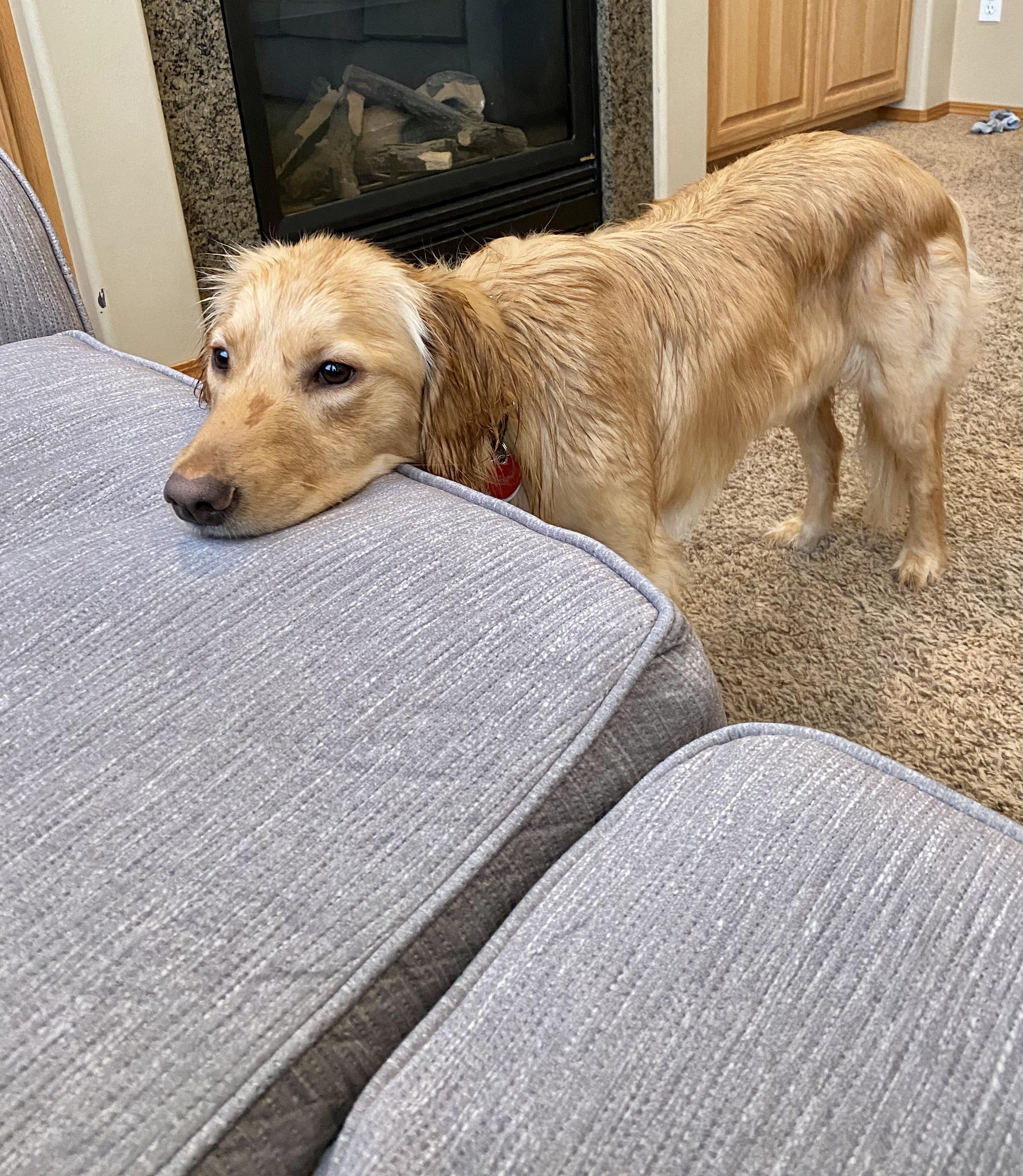 My derpy girl has a heavy head? | Scrolller