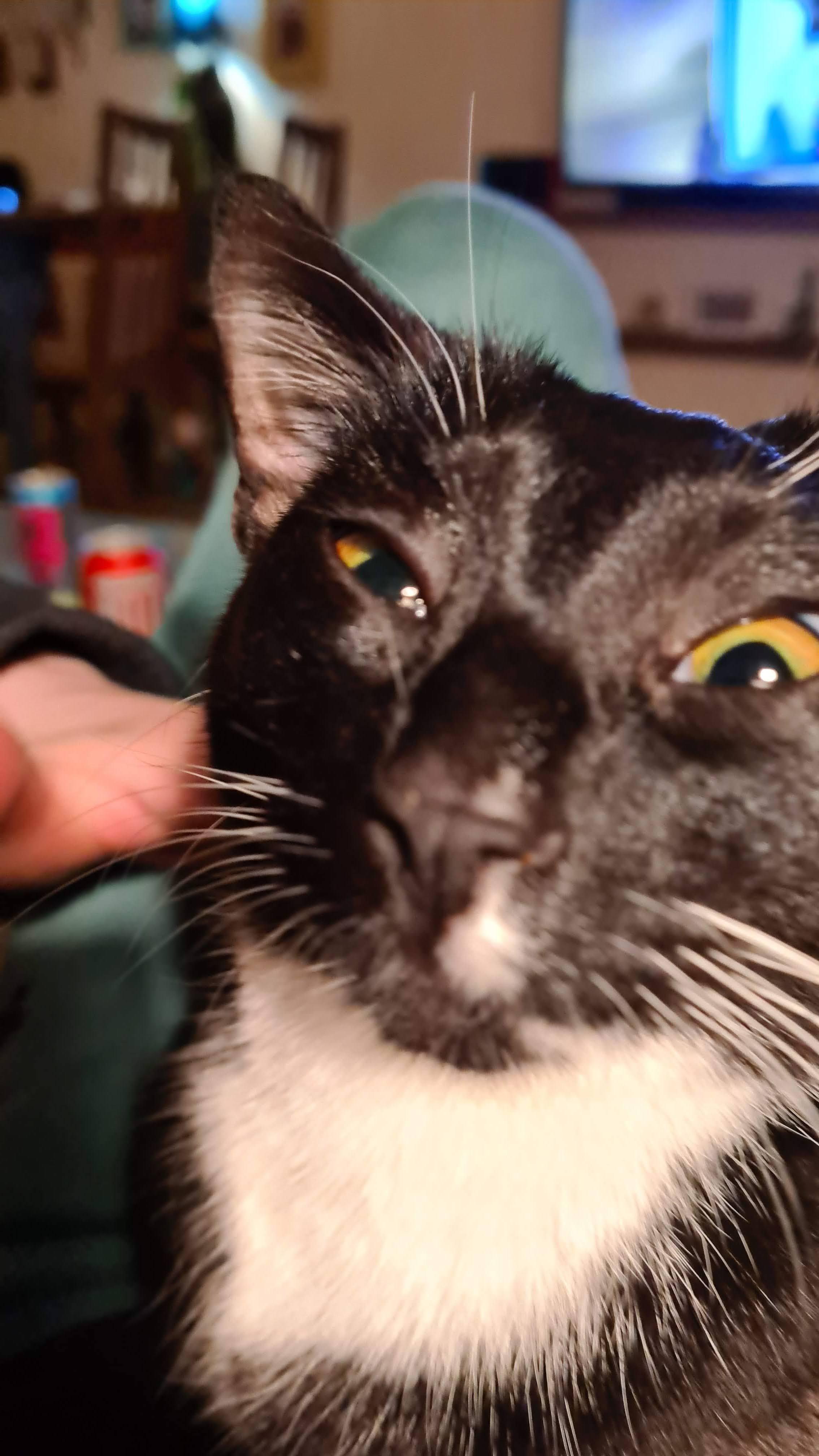 My derpy little girl ️ | Scrolller