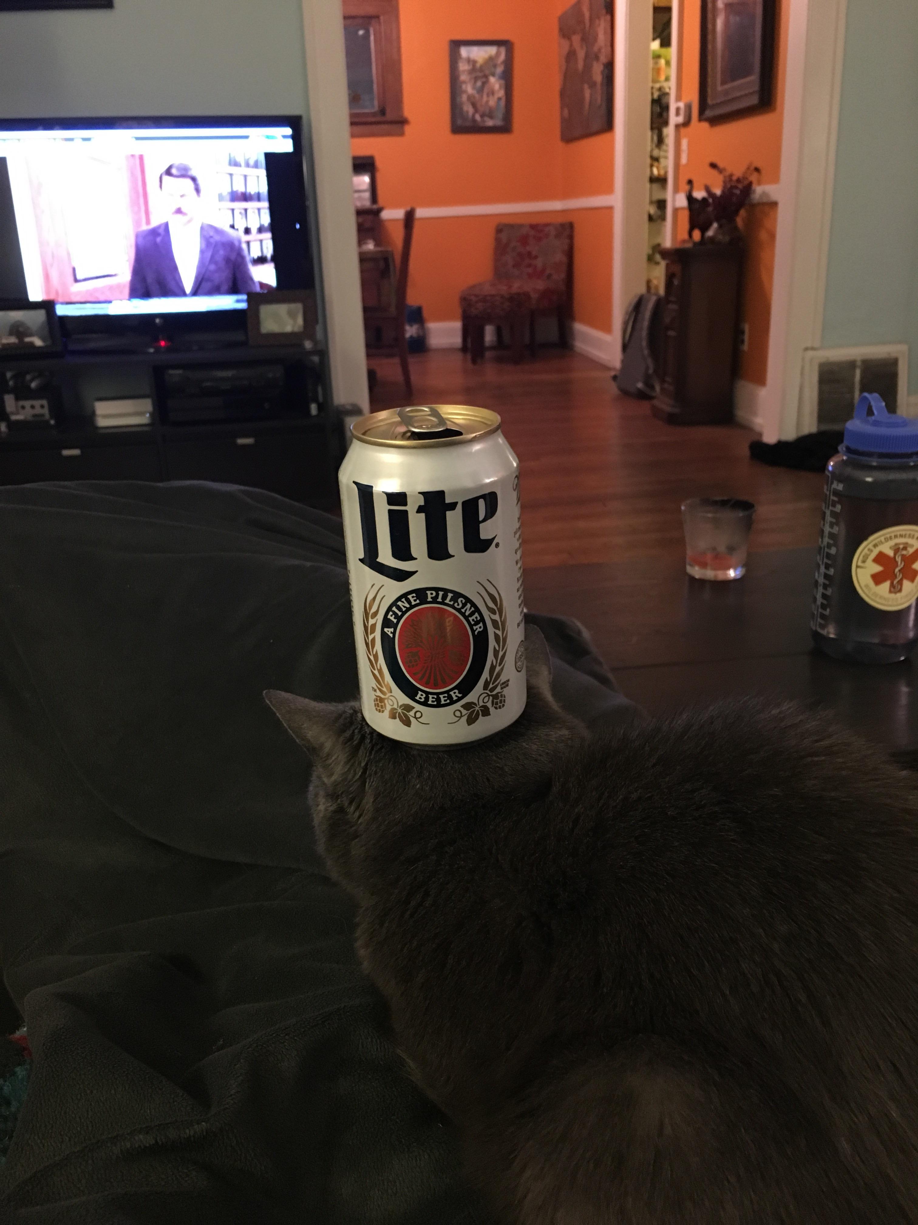 My drinking buddy | Scrolller