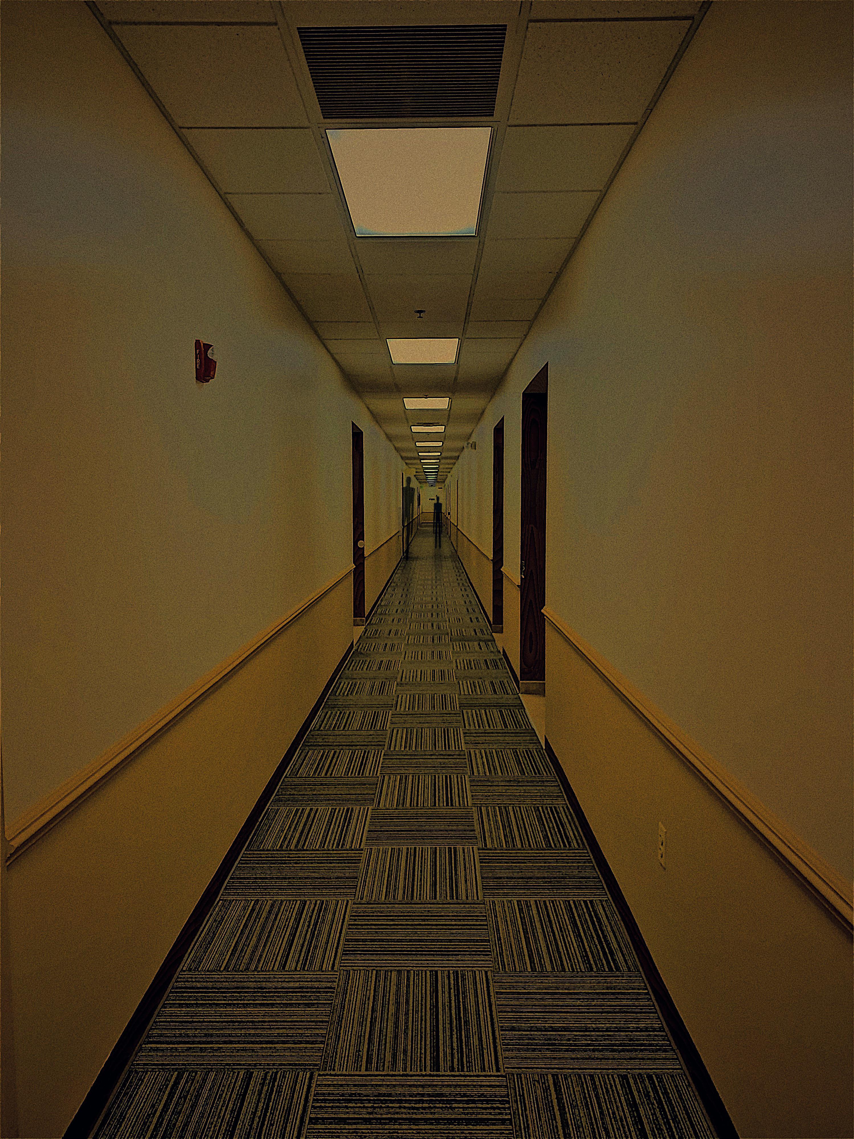 My experience in the backrooms | Scrolller