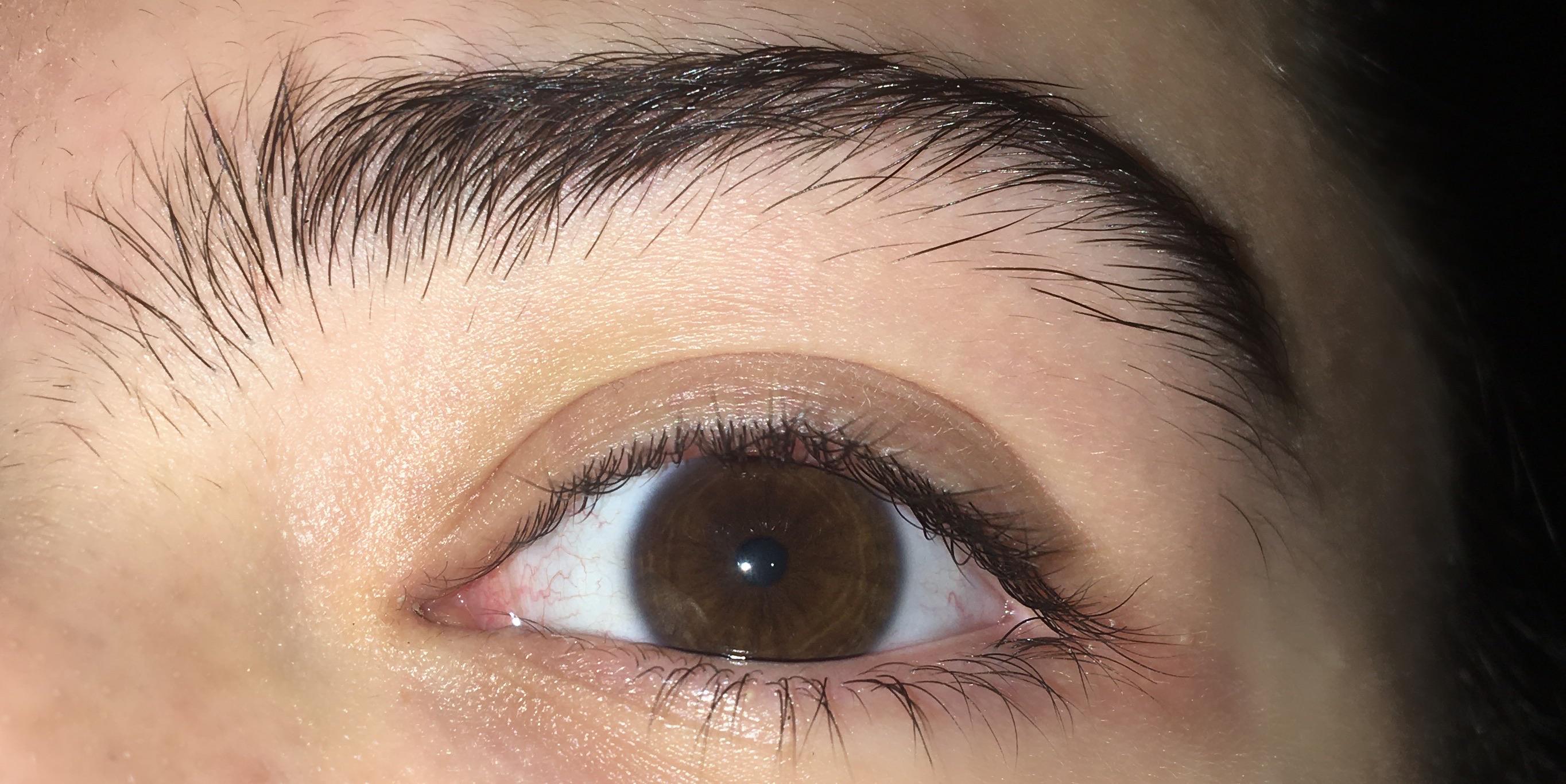 my eyebrows!! | Scrolller