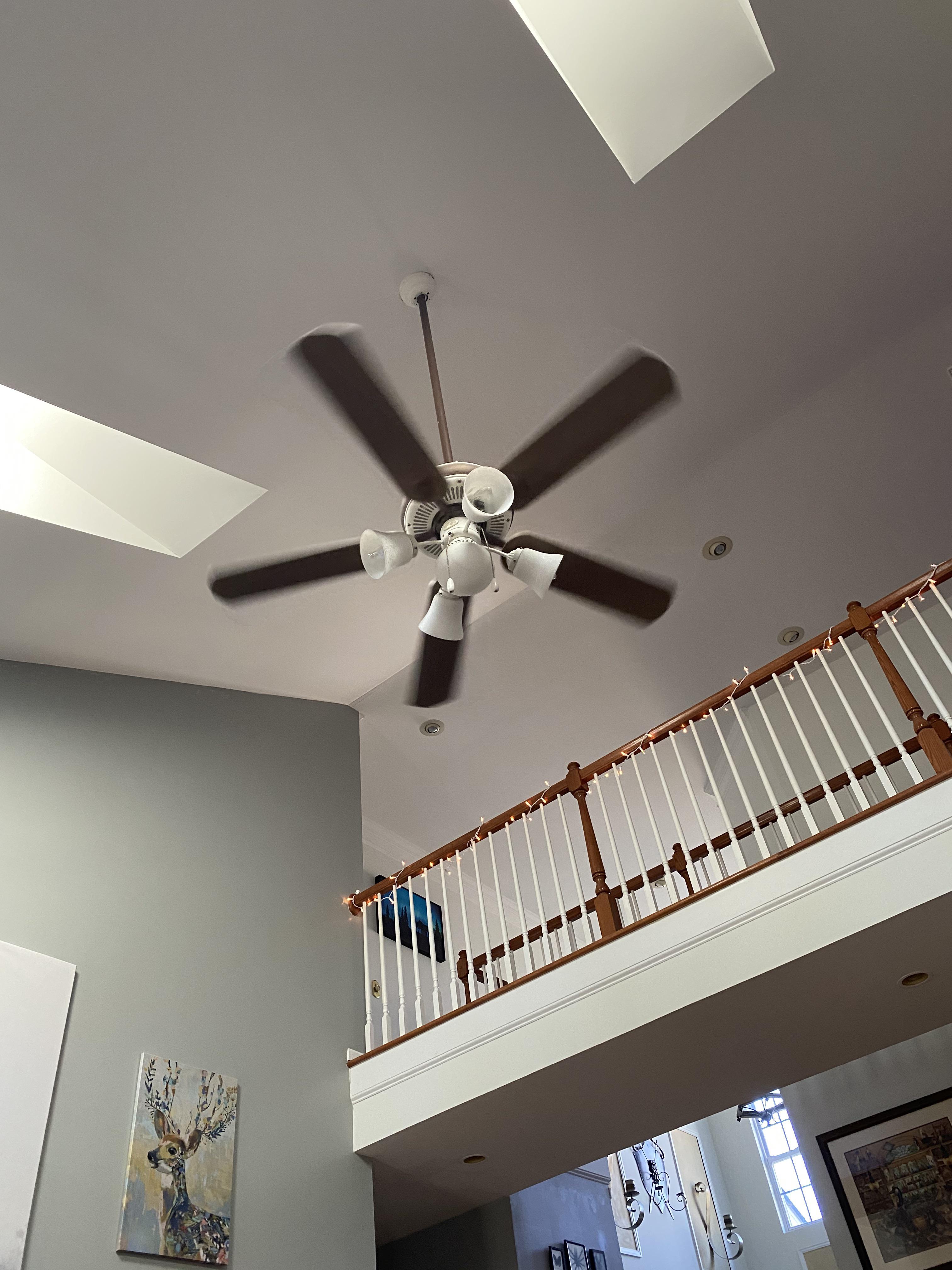 My fan is high as hell | Scrolller