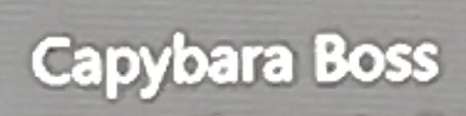 My favorite Capybara | Scrolller