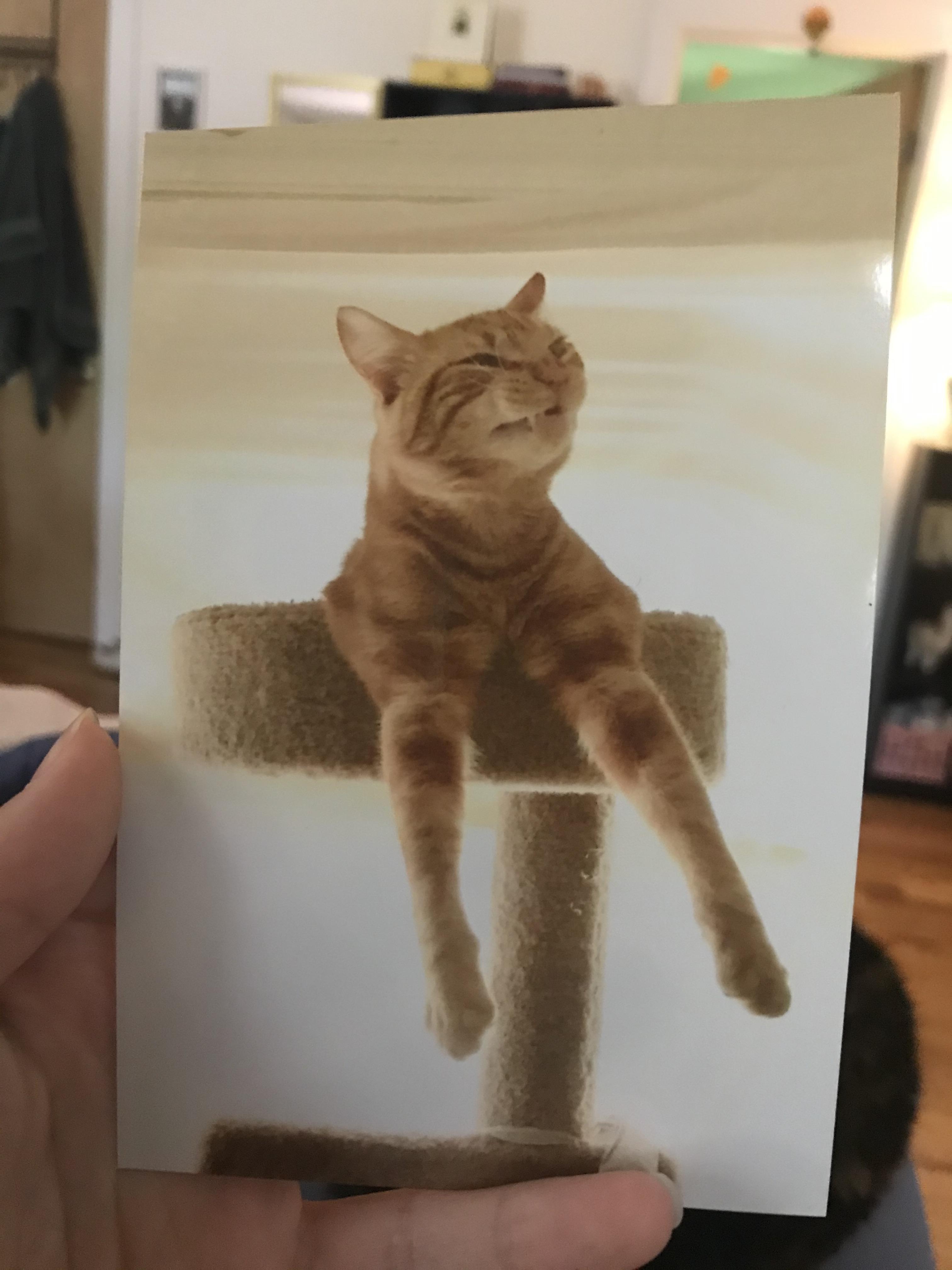 My favorite photo of Prince Zuko | Scrolller