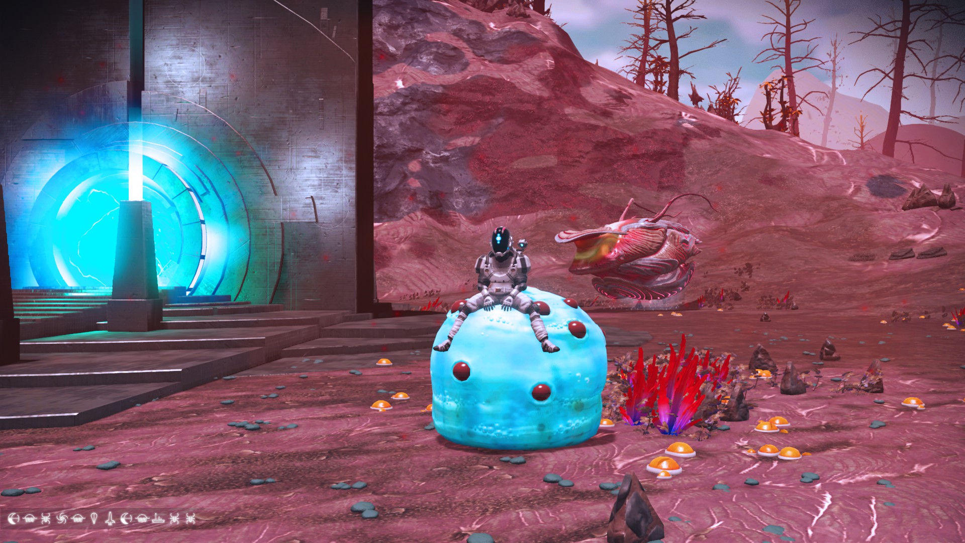 My Favourite Blob | Scrolller