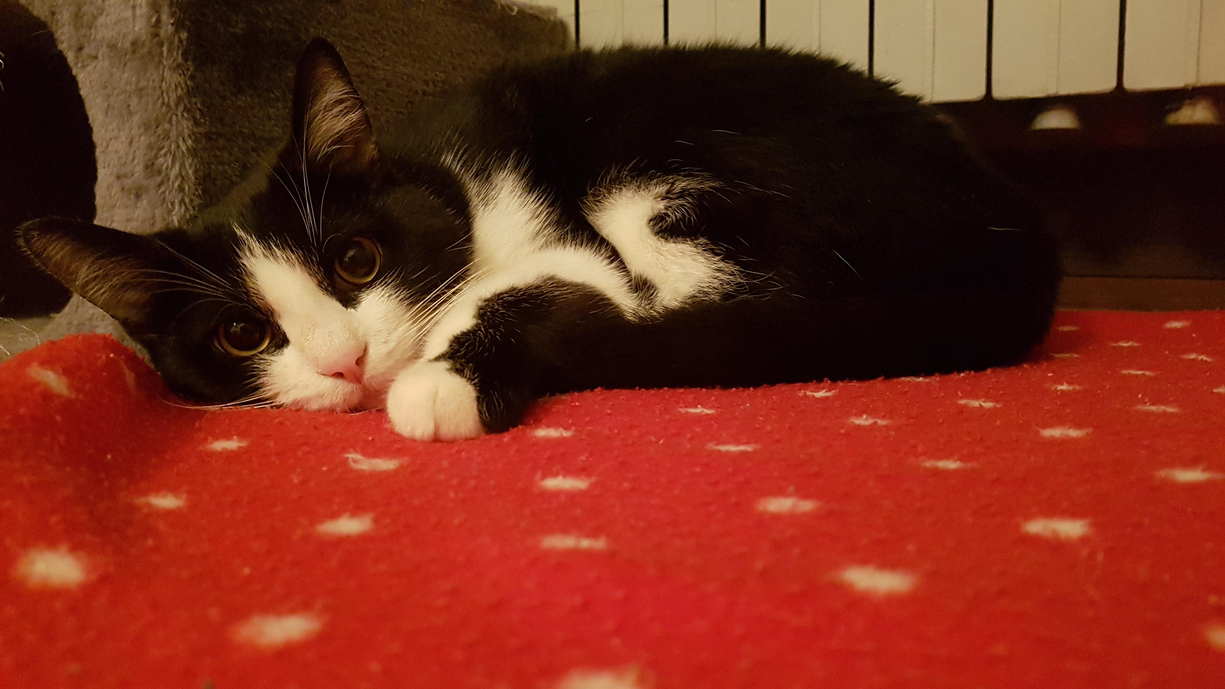 My favourite little creature | Scrolller