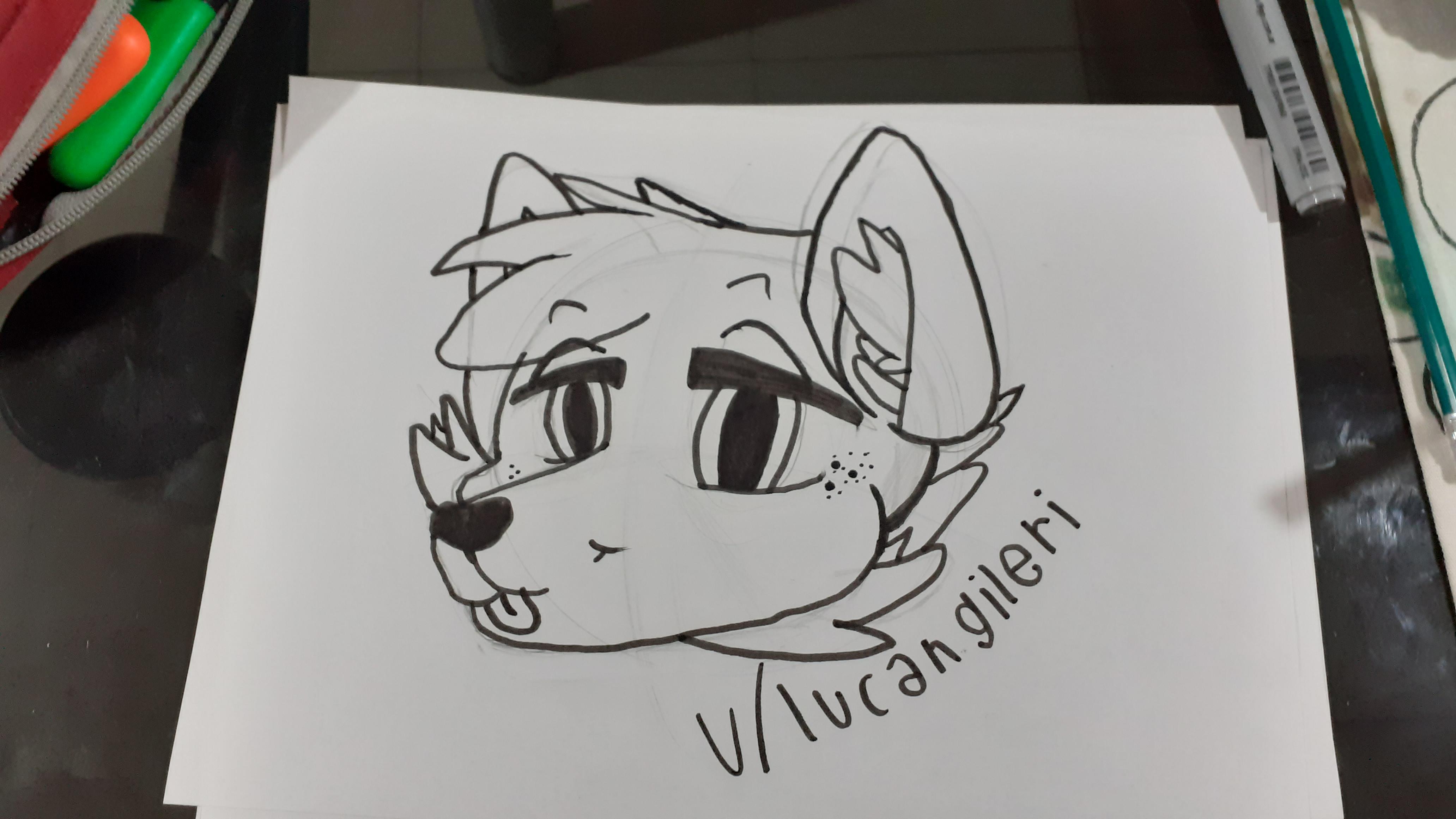 My first drawing of a wolf | Scrolller