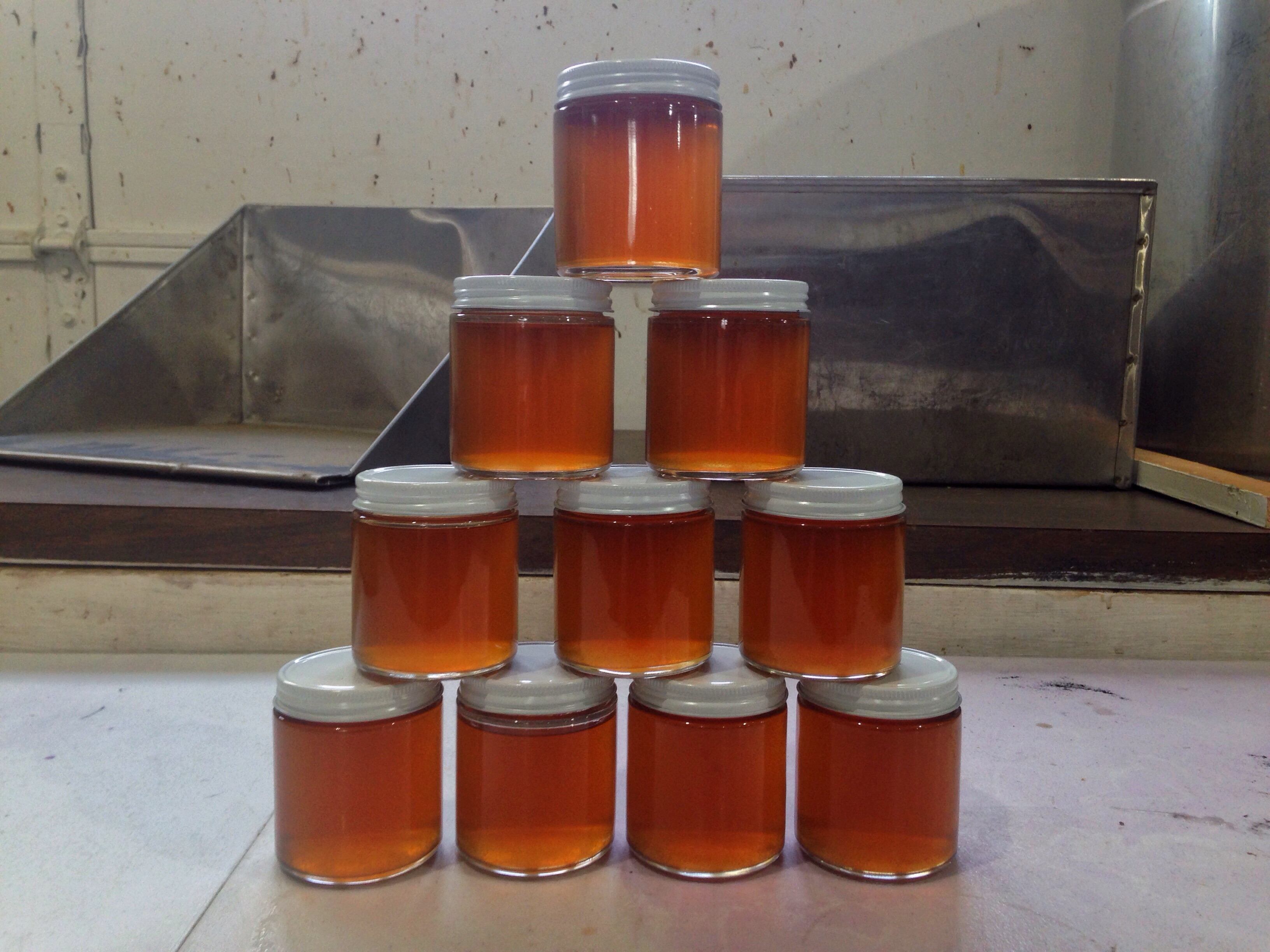 My first ever maple harvest! | Scrolller