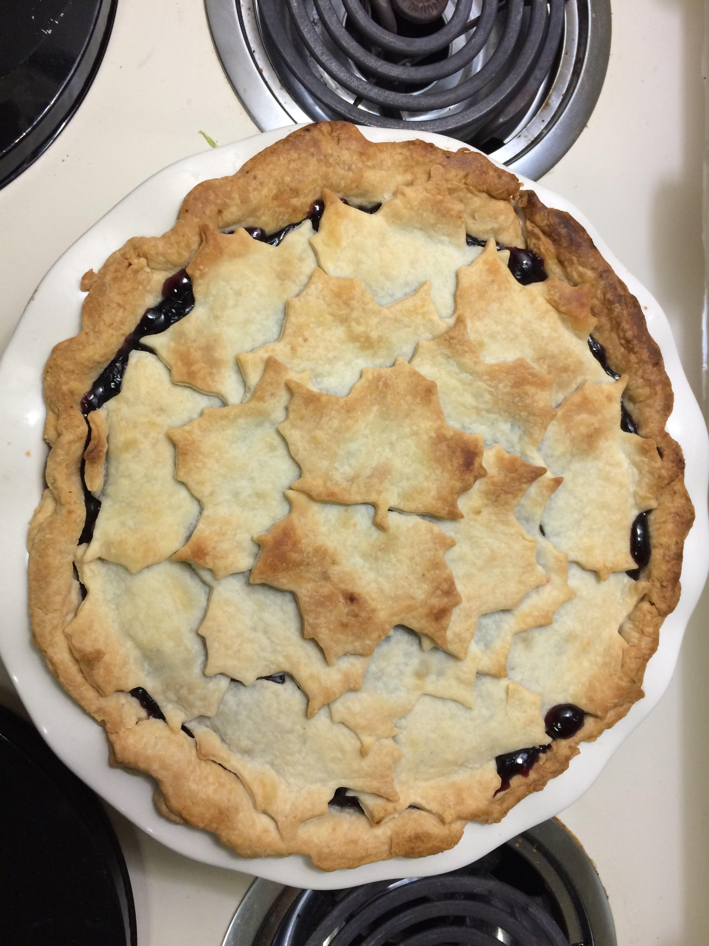 My first ever pie. Blueberry filling and all butter pastry for the crust. | Scrolller
