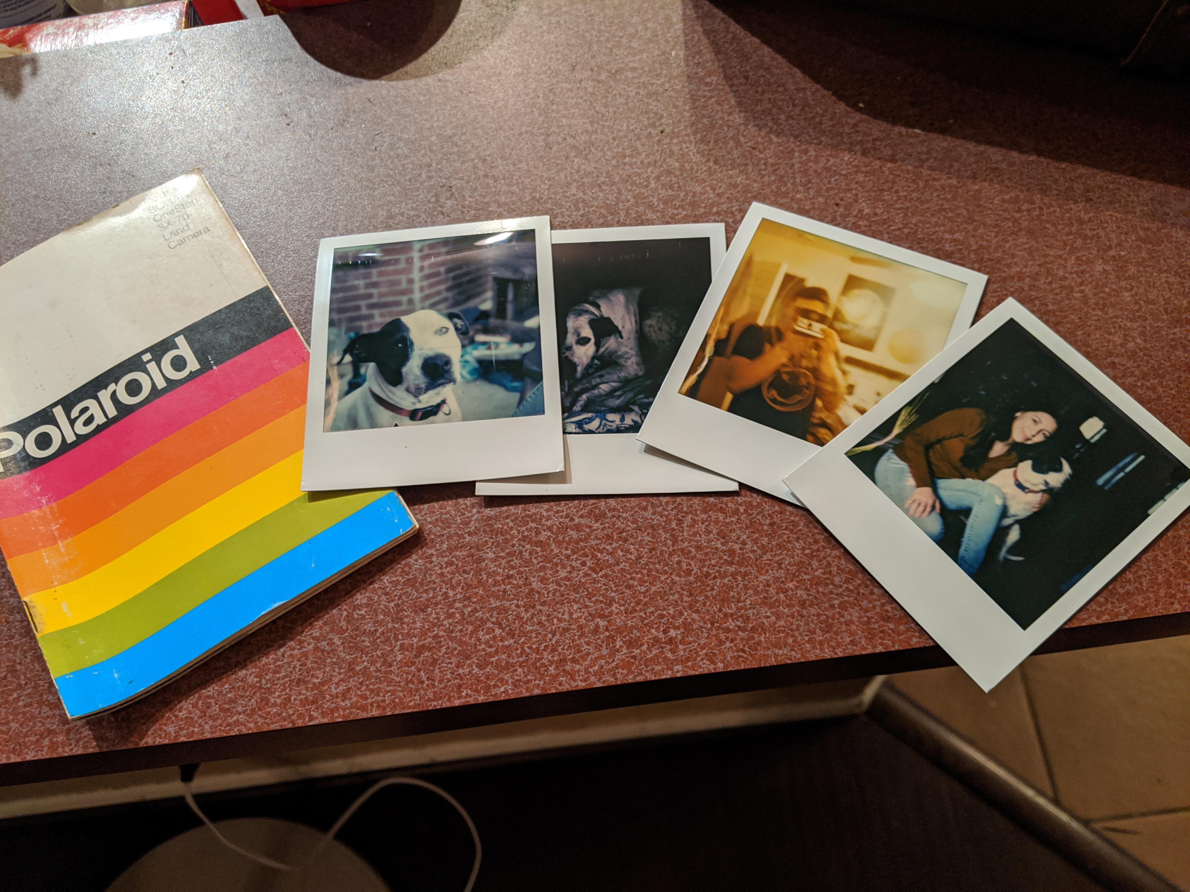 My first ever Polaroid shots | Scrolller