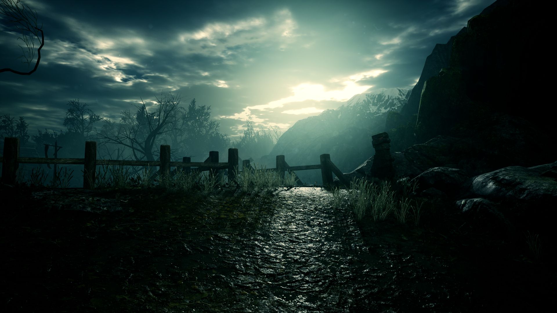 My first experience with Photo Mode | Scrolller