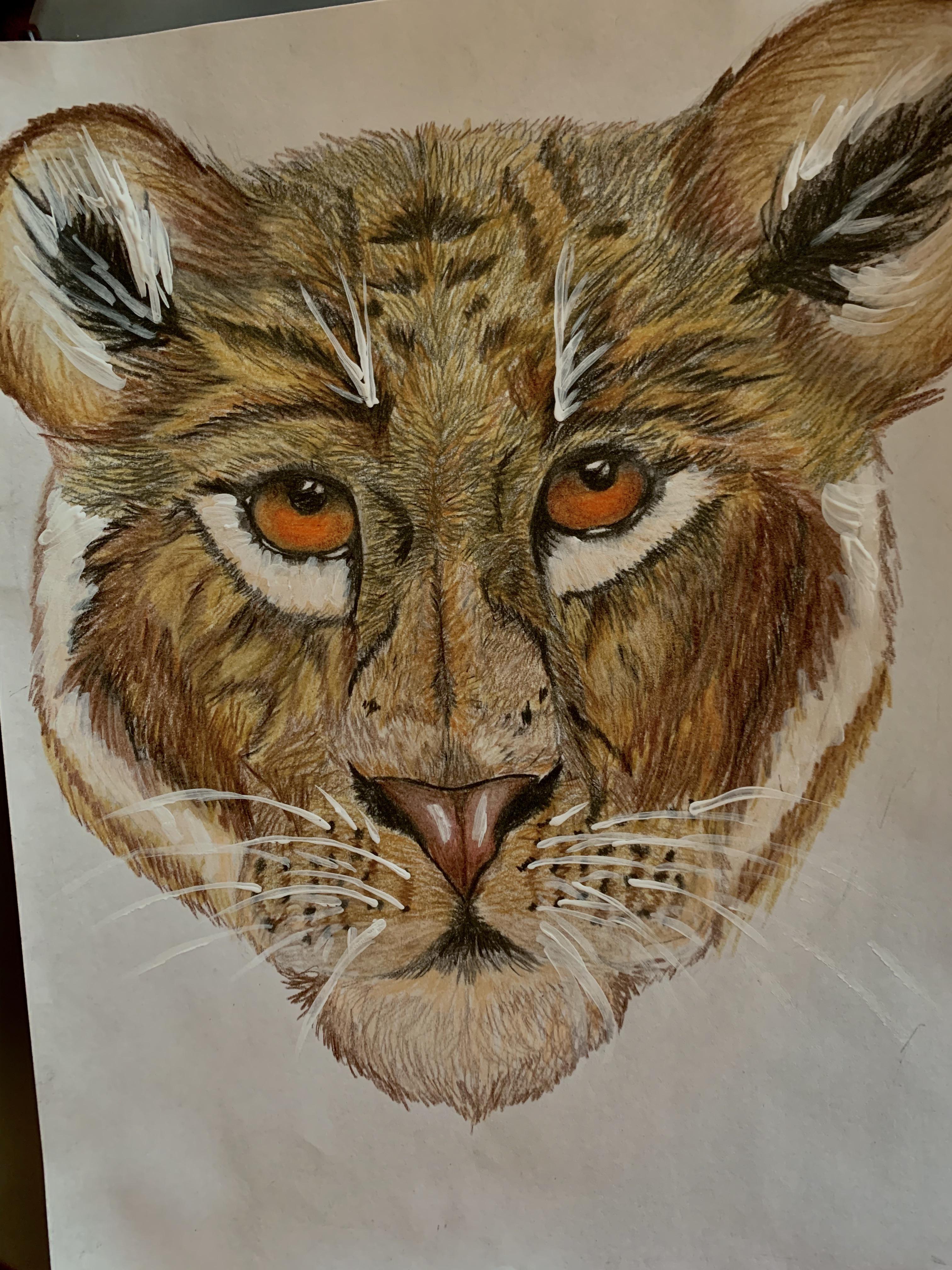 My first pencil drawing! | Scrolller