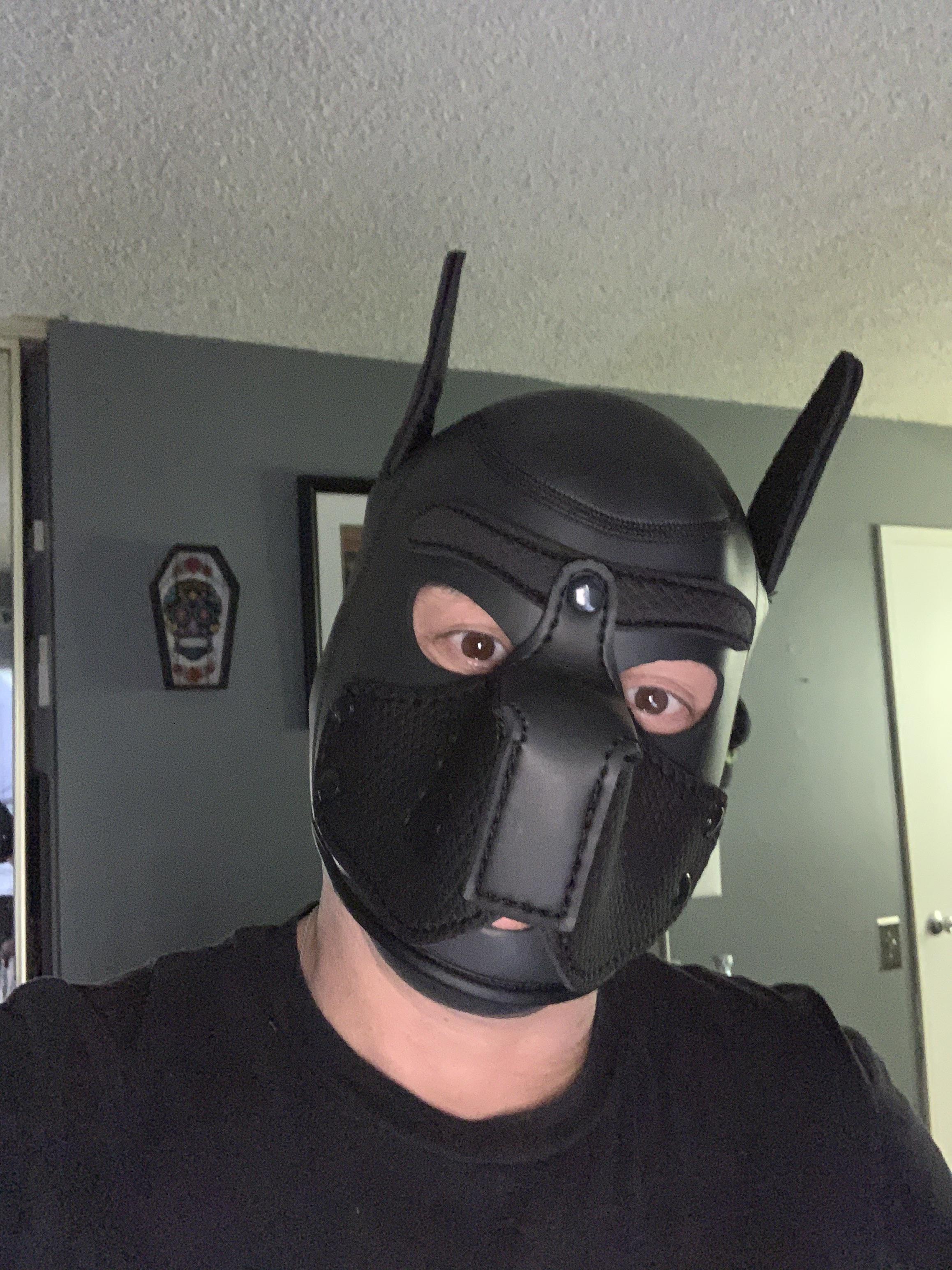 My first pup mask what do you think | Scrolller