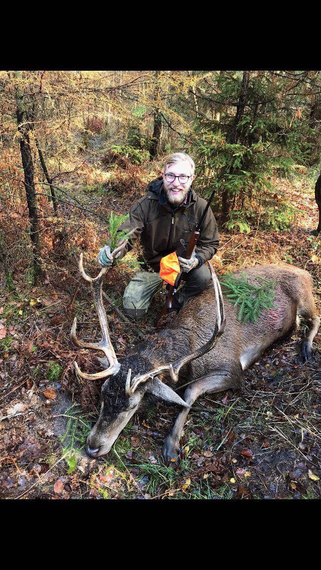 My first red deer stag | Scrolller
