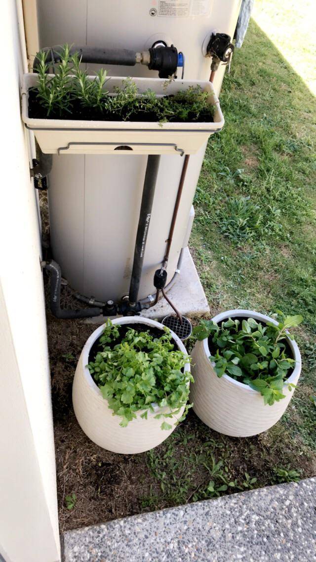 My first setup. Any advice for a beginner? | Scrolller