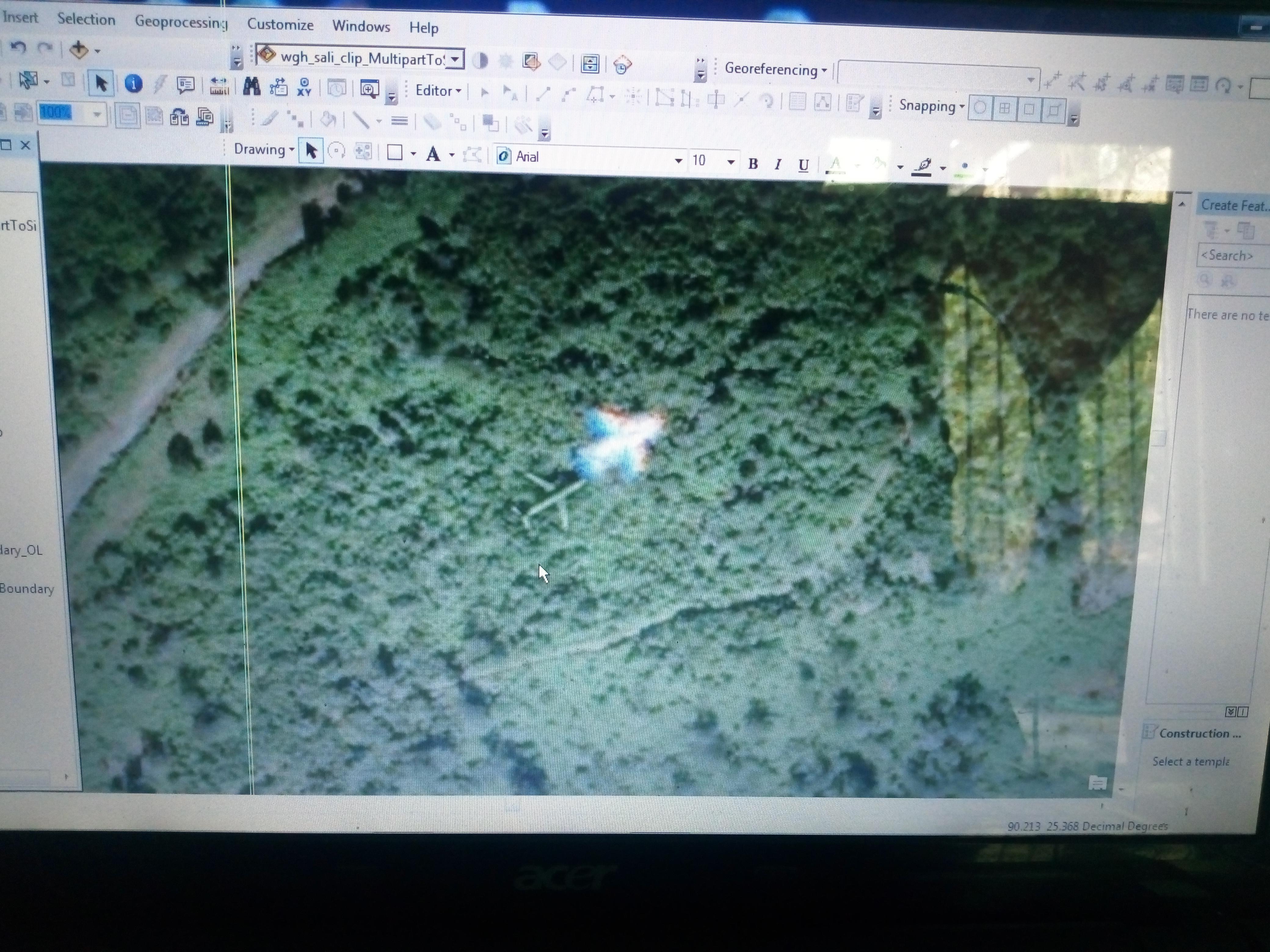 My first time sighted these in the wild (world imagery base map) 25.368 ...