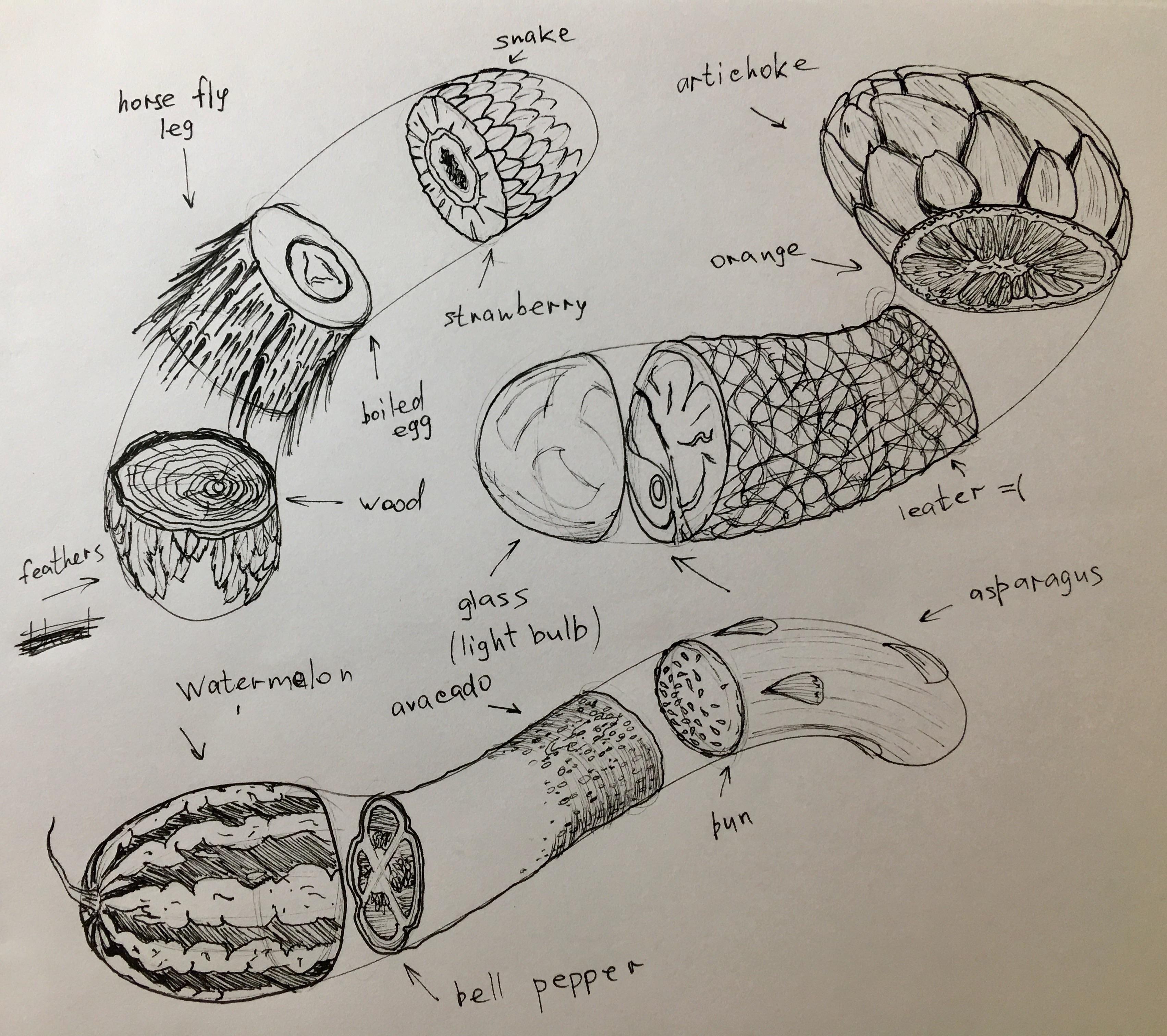 My first try on dissection. | Scrolller
