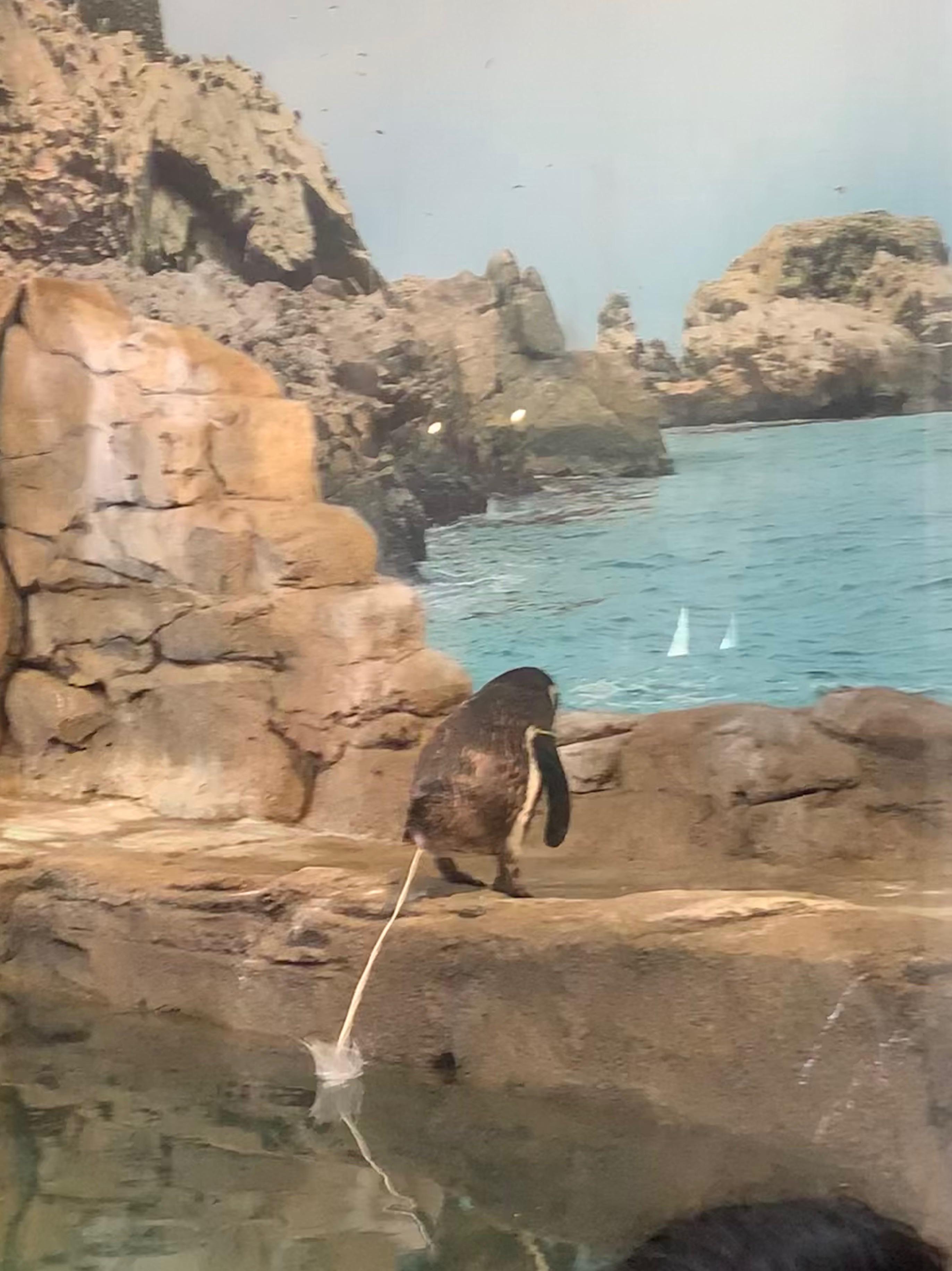 My friend took this perfectly timed photo | Scrolller