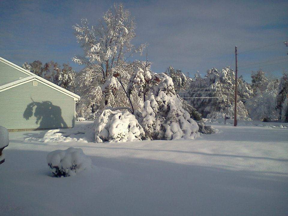 My front yard in 2011. | Scrolller