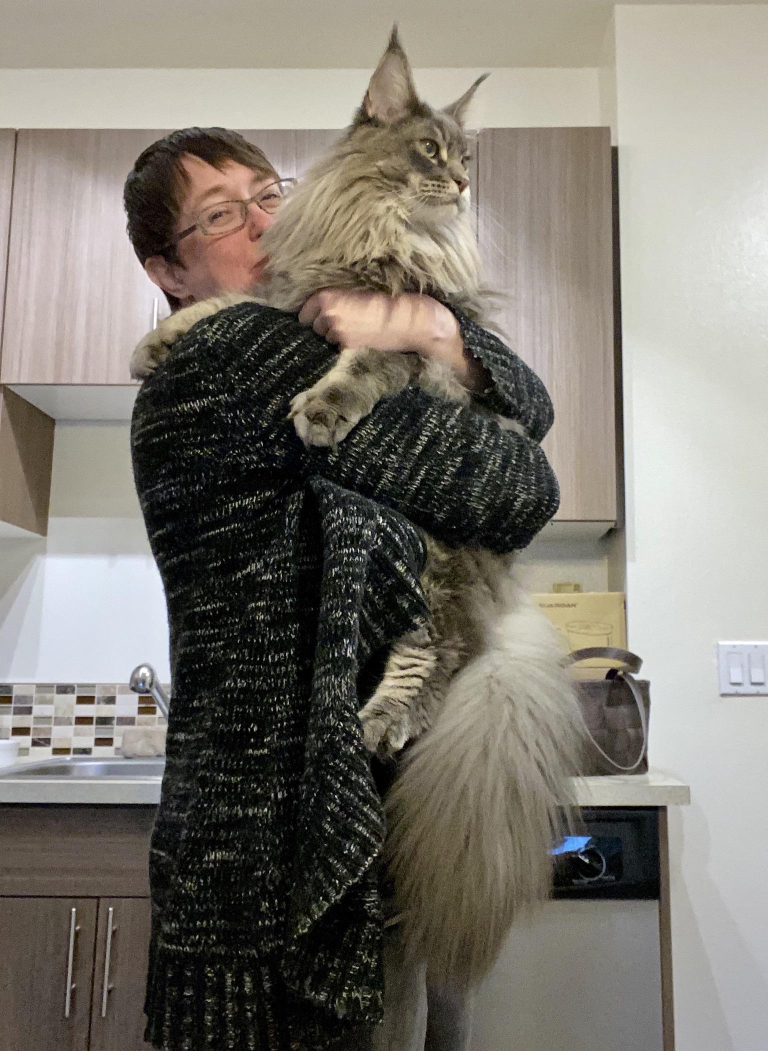 My fur baby just keeps getting bigger and bigger!!! | Scrolller