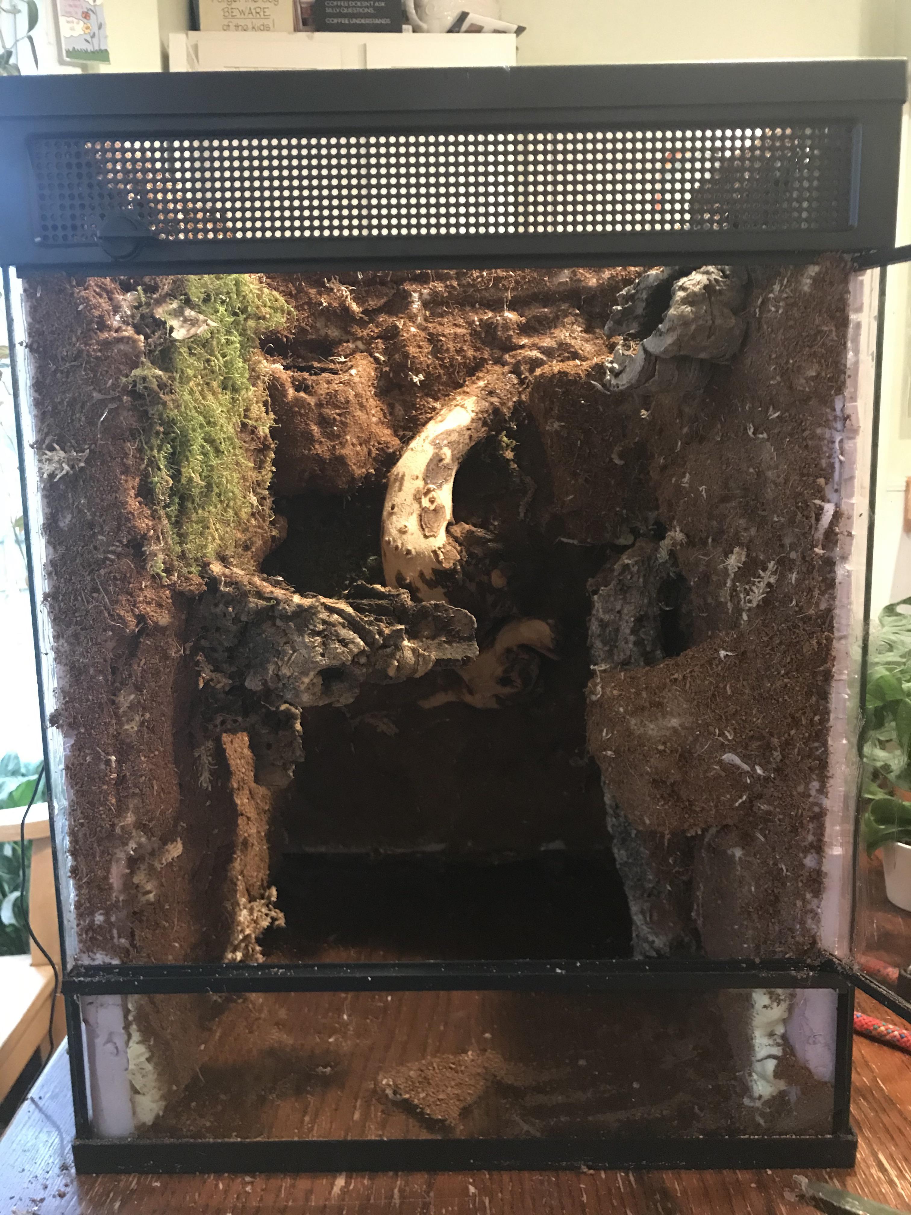 My geckos new enclosure! | Scrolller