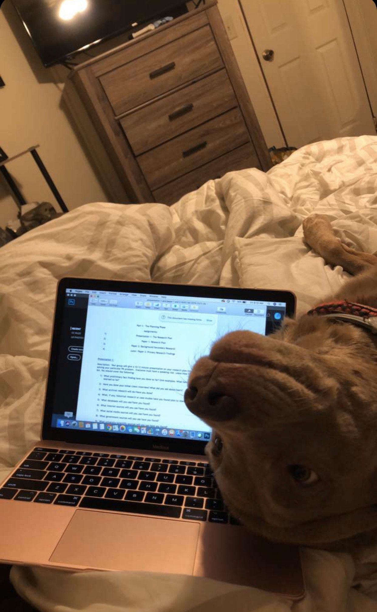 My Gf Just Wanted To Do Her Homework Scrolller