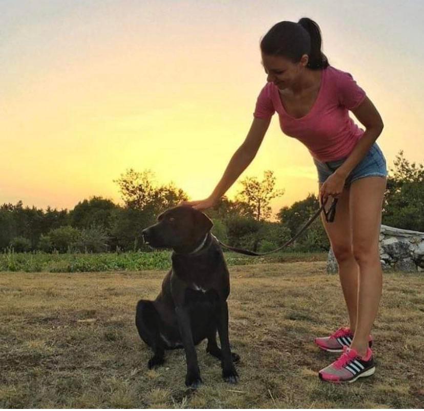 Discover more like Aww: My girlfriend just adopted her dream pup, welcome to the family Jake ...