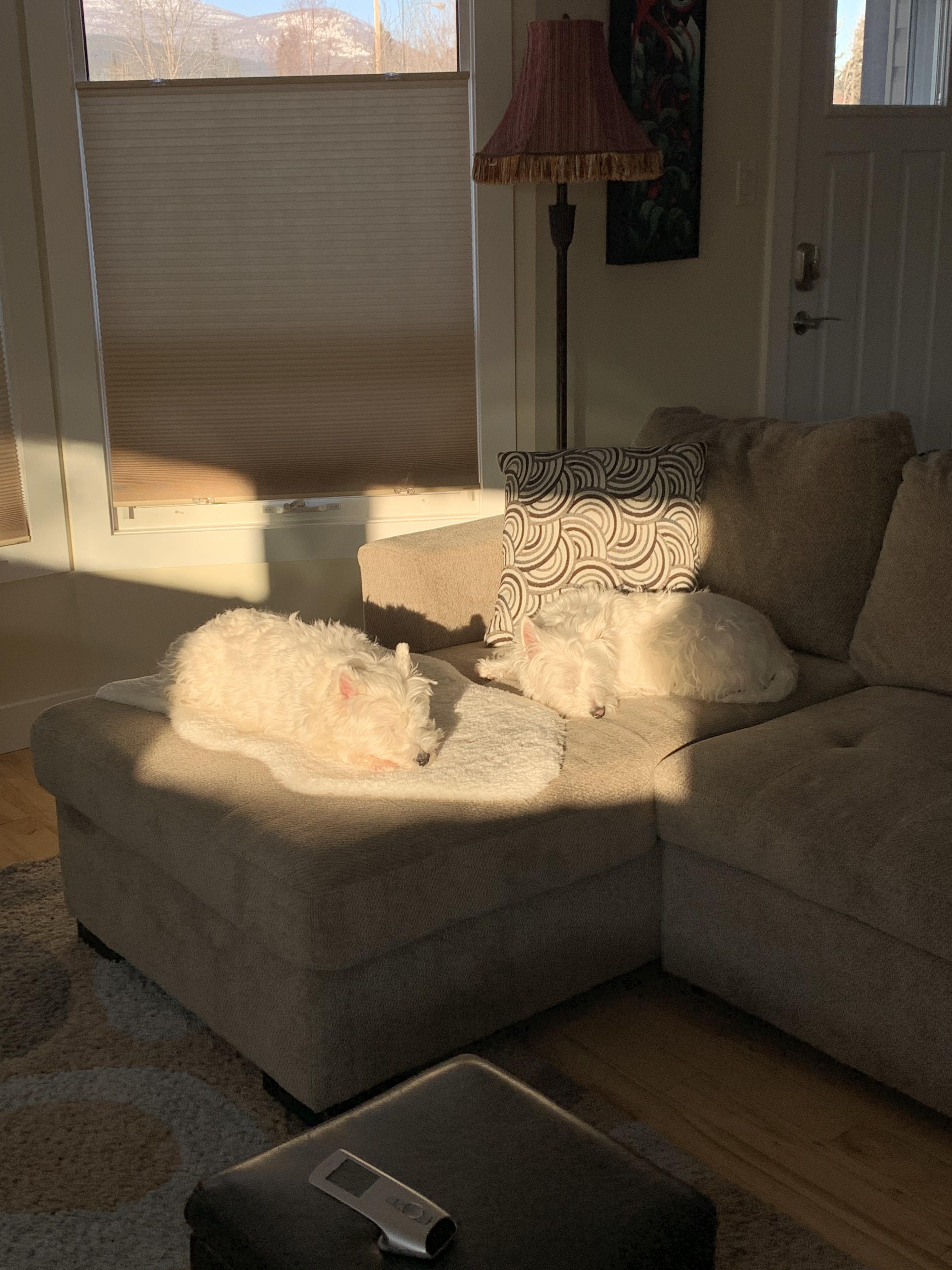 My girls finding the sunbeam. | Scrolller