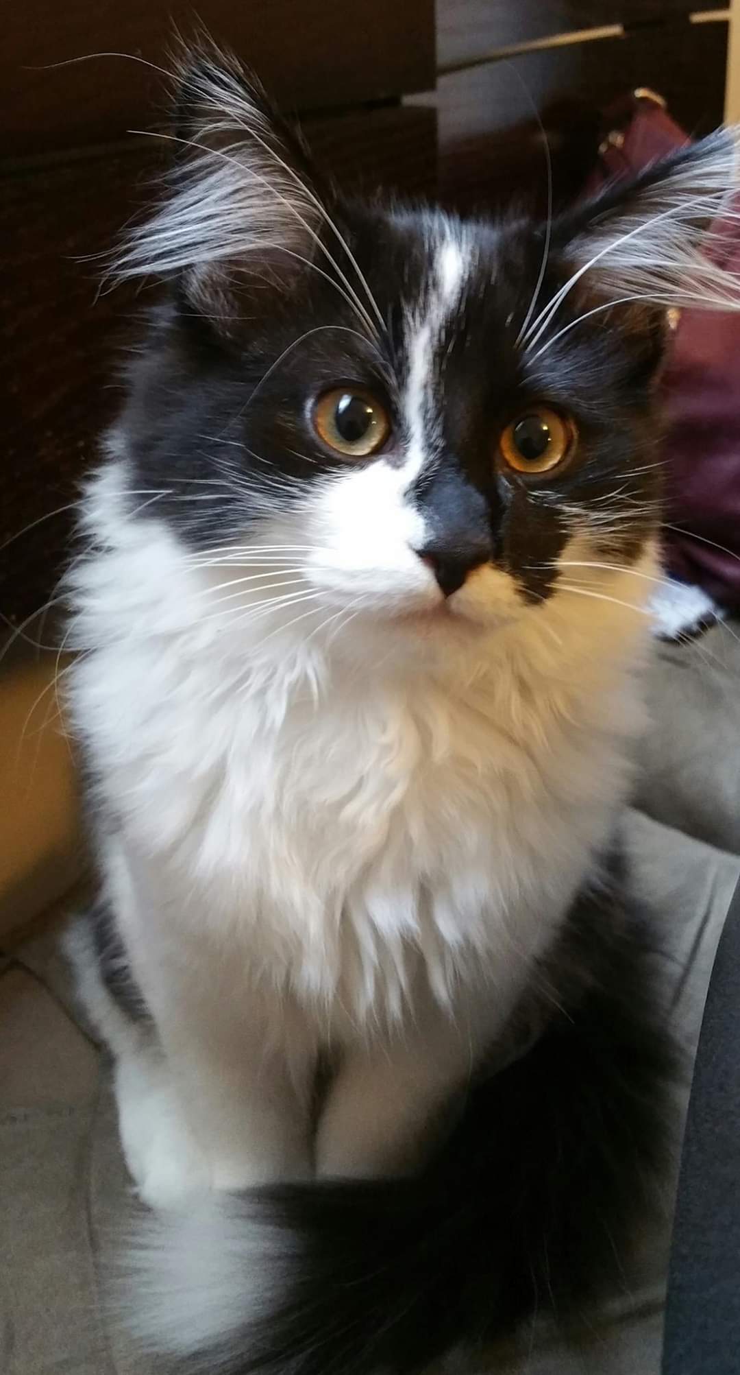 My handsome boi | Scrolller