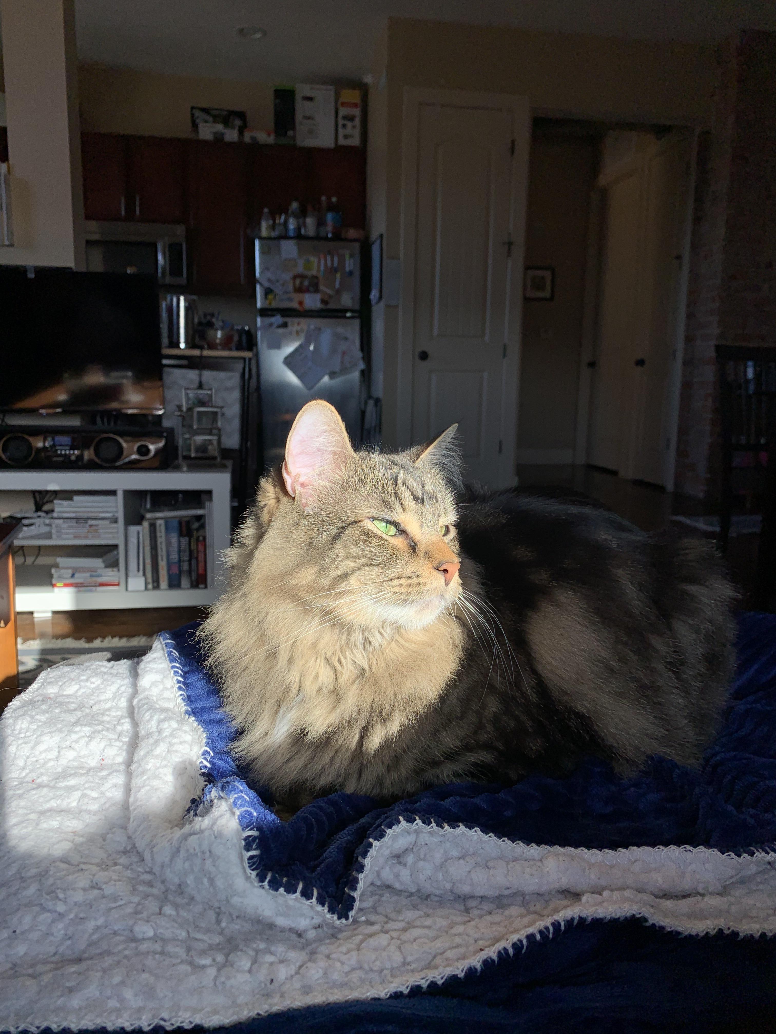 my handsome boy | Scrolller