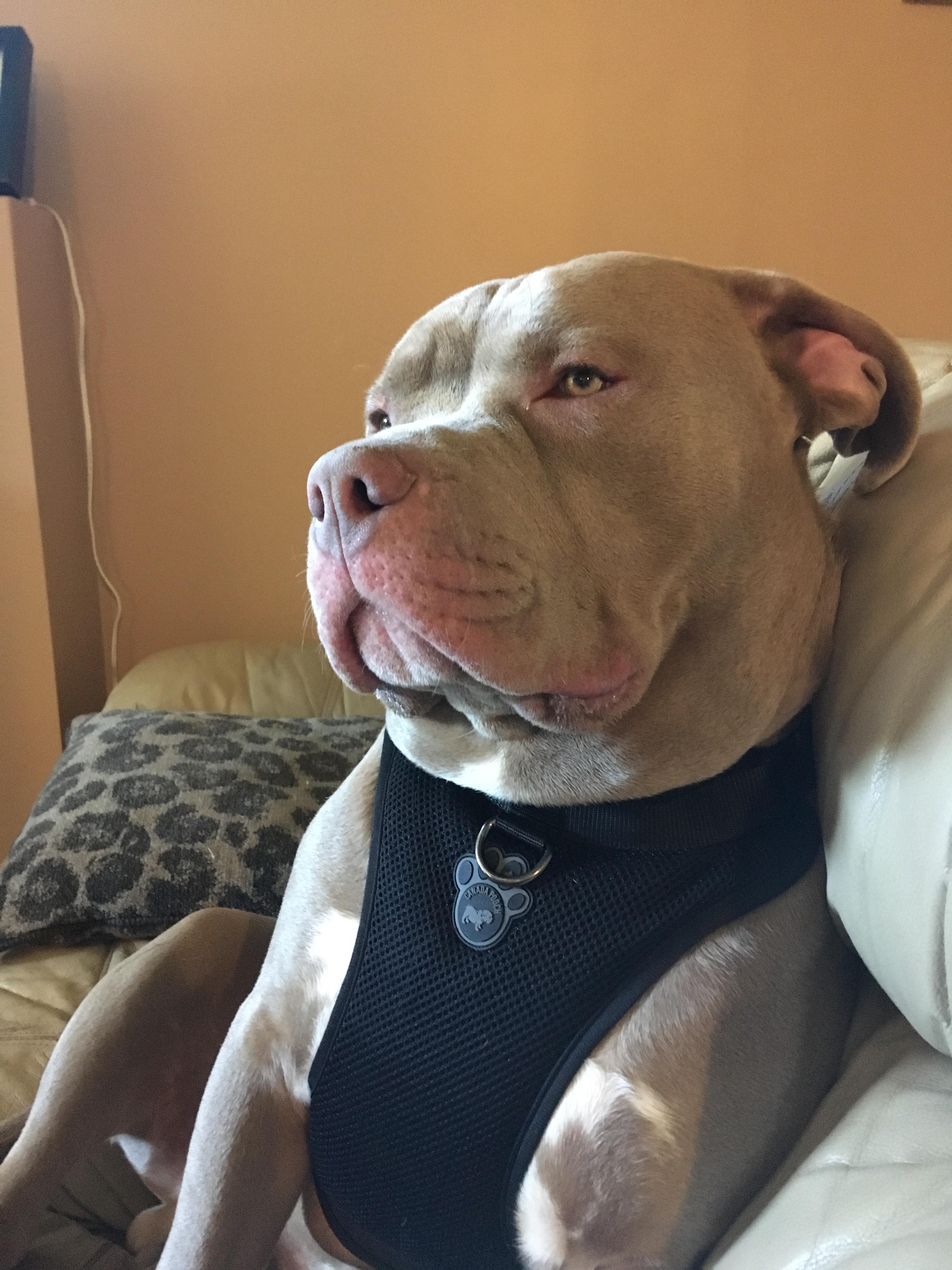 My Handsome boy | Scrolller