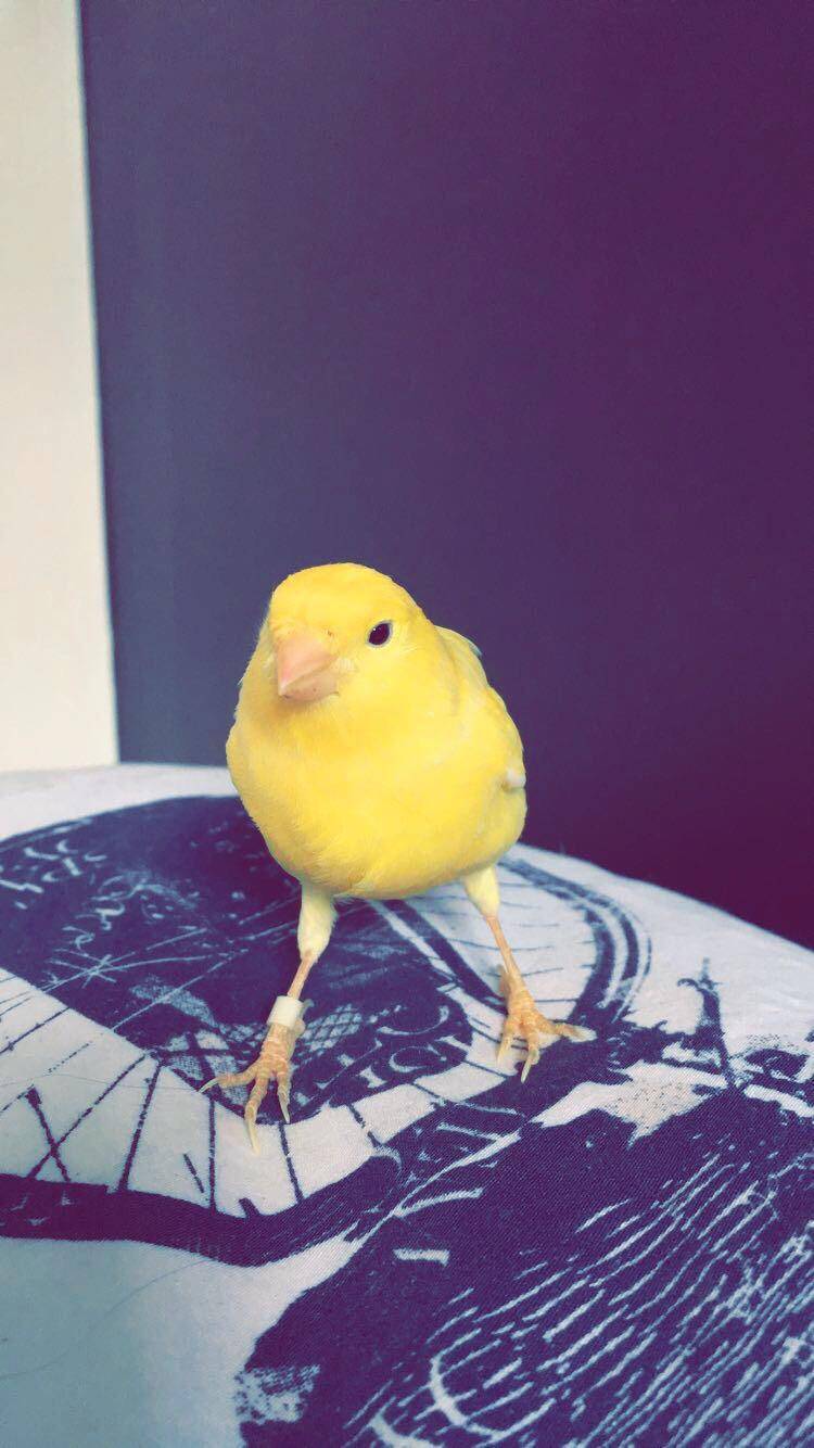 My handsome boy | Scrolller