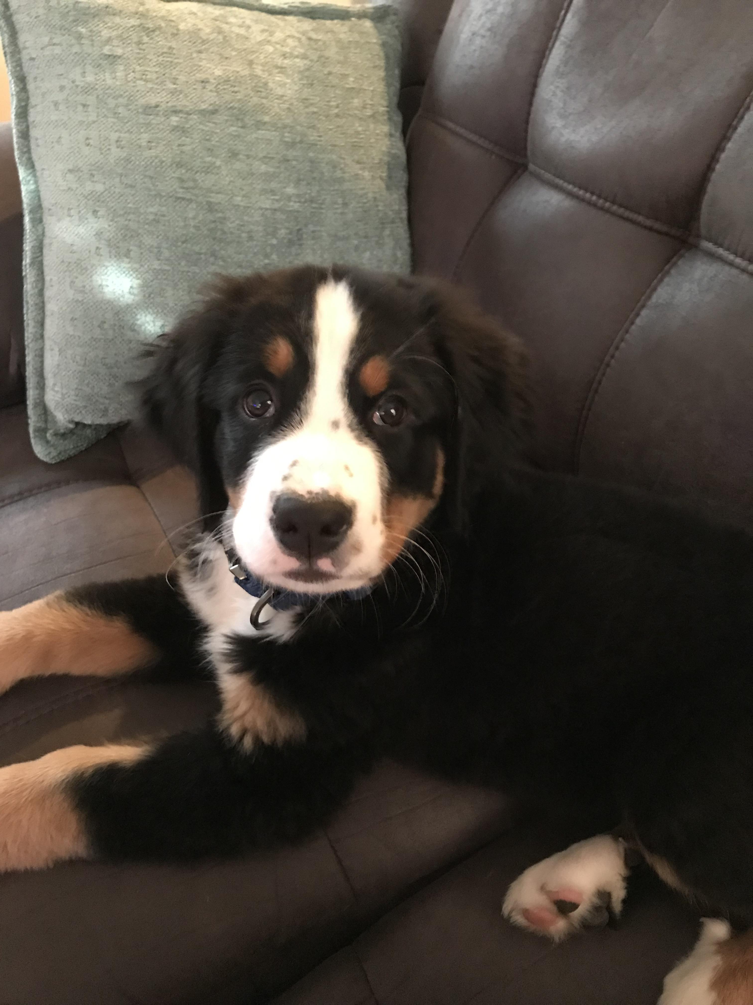 My handsome boy | Scrolller