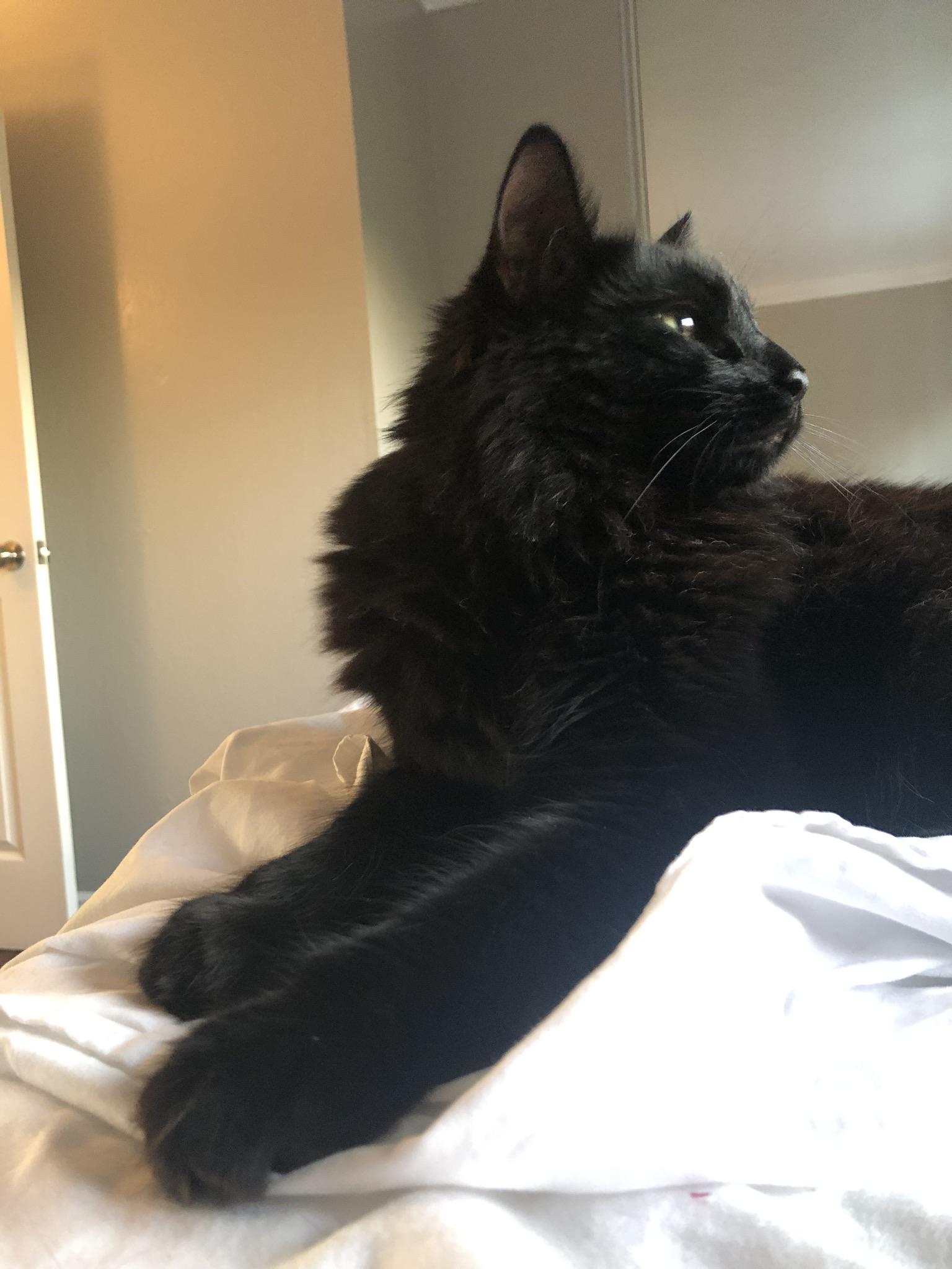 My Handsome Boy | Scrolller