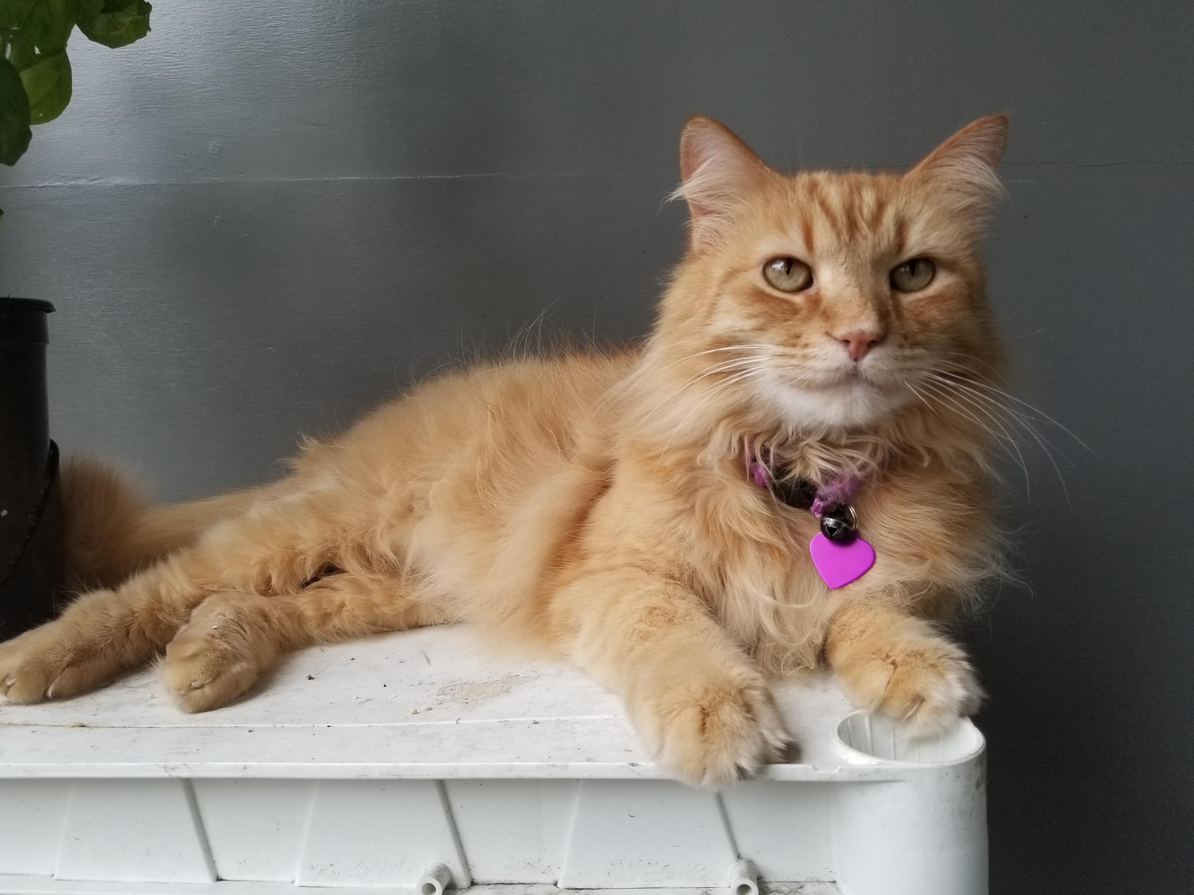 My handsome boy Nico | Scrolller