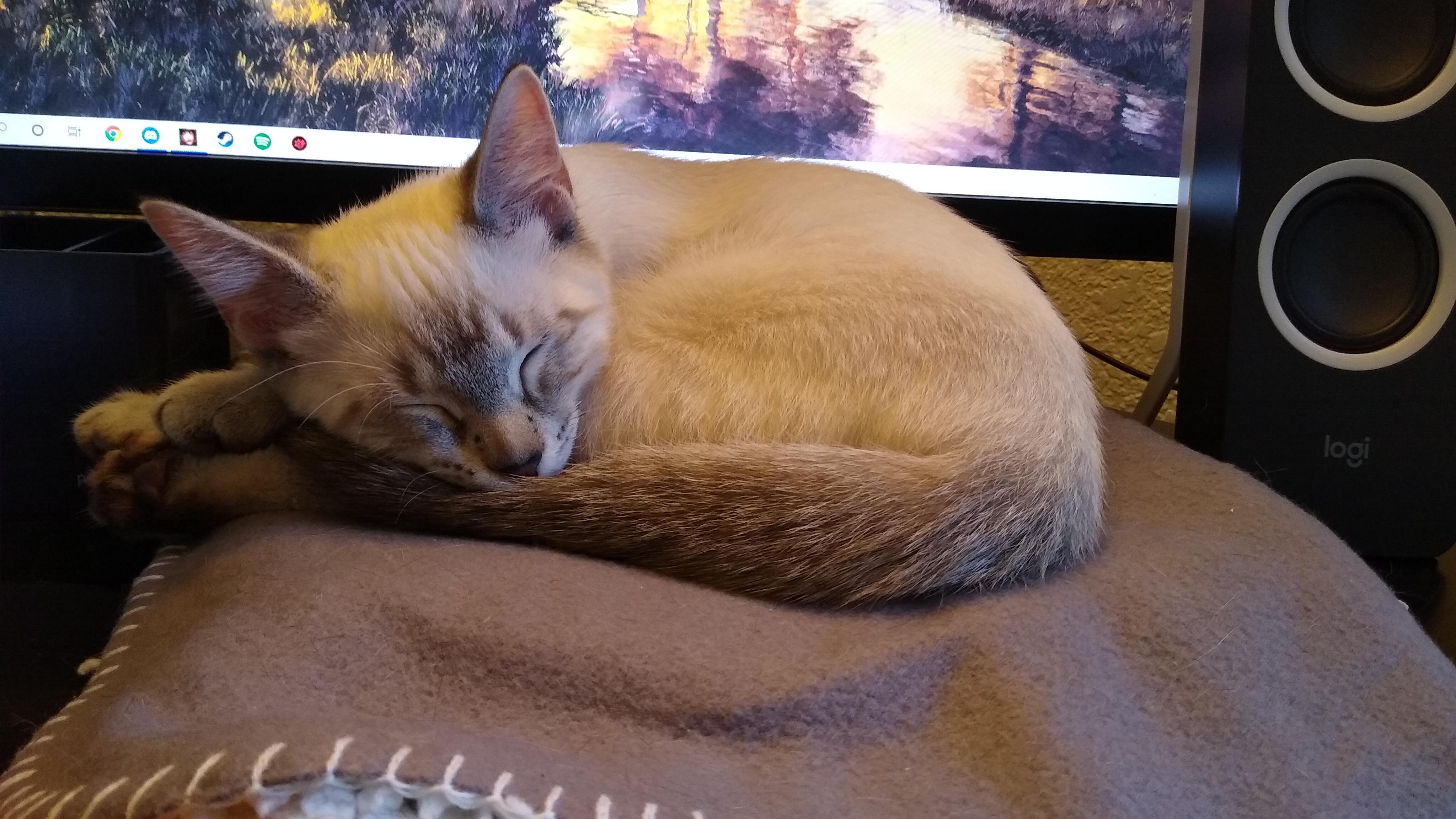 My handsome boy, Winnie! | Scrolller