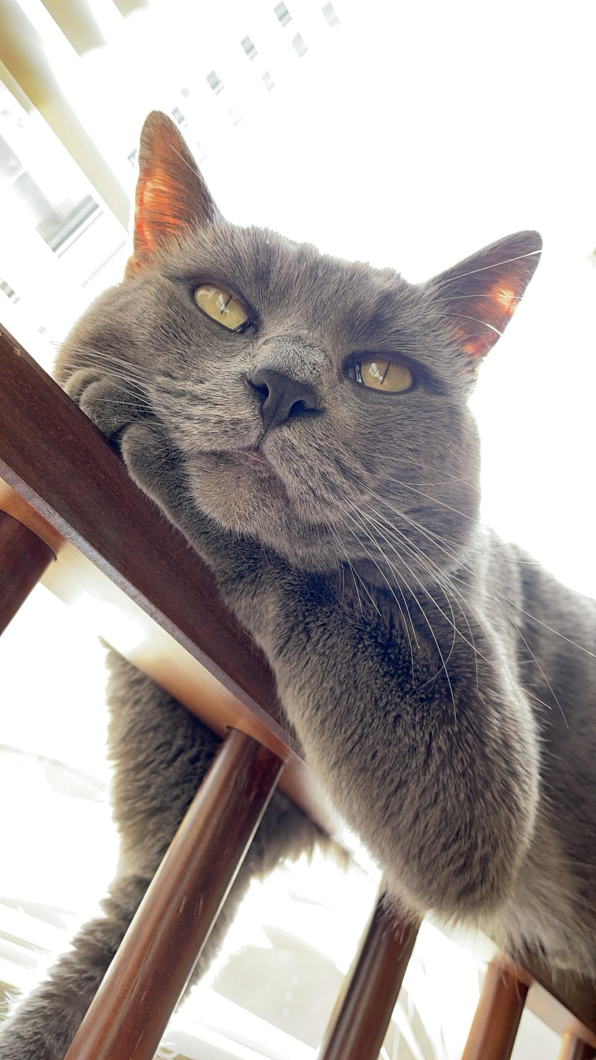 my handsome buddy Bender | Scrolller