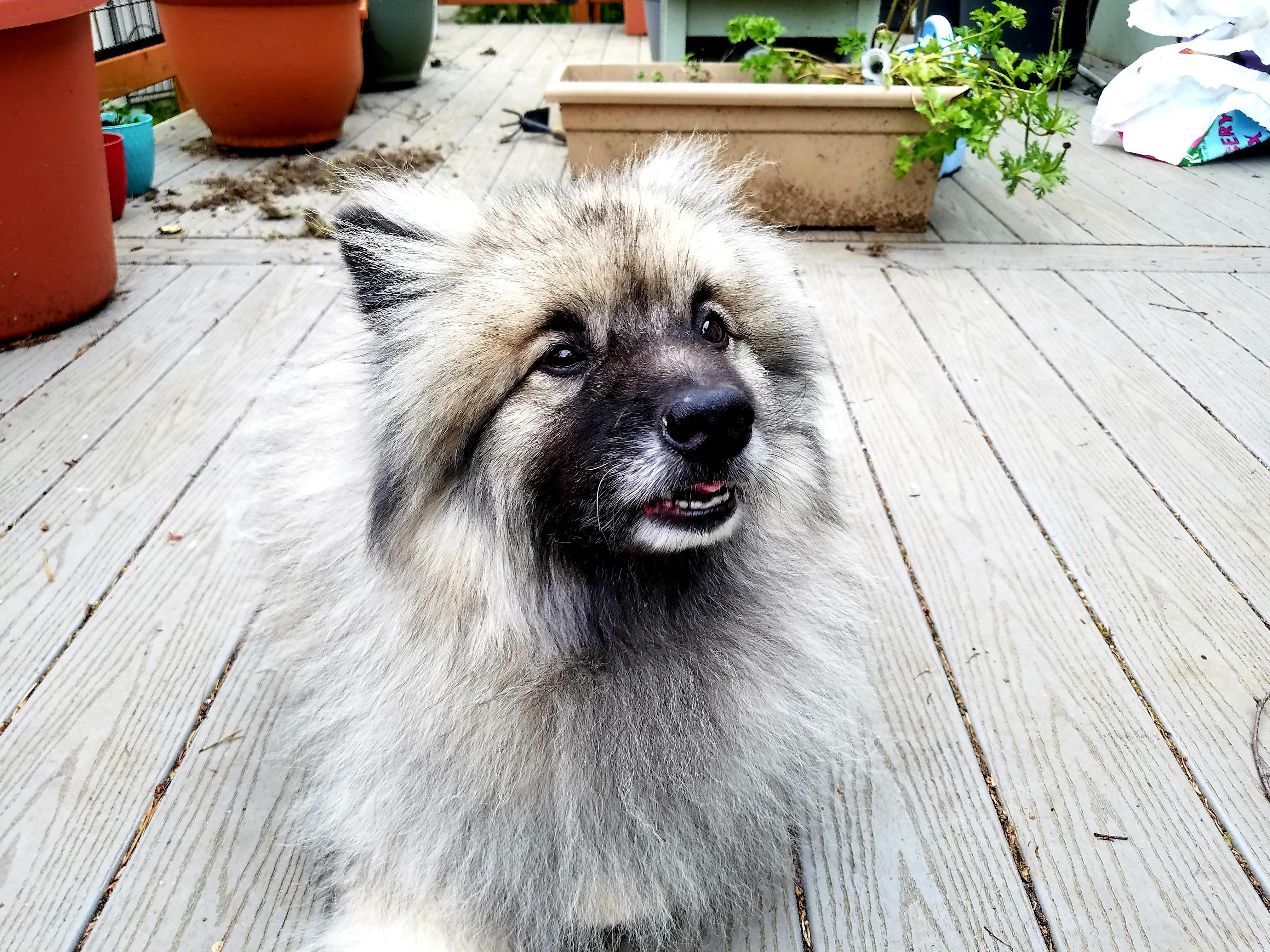 My handsome guy | Scrolller