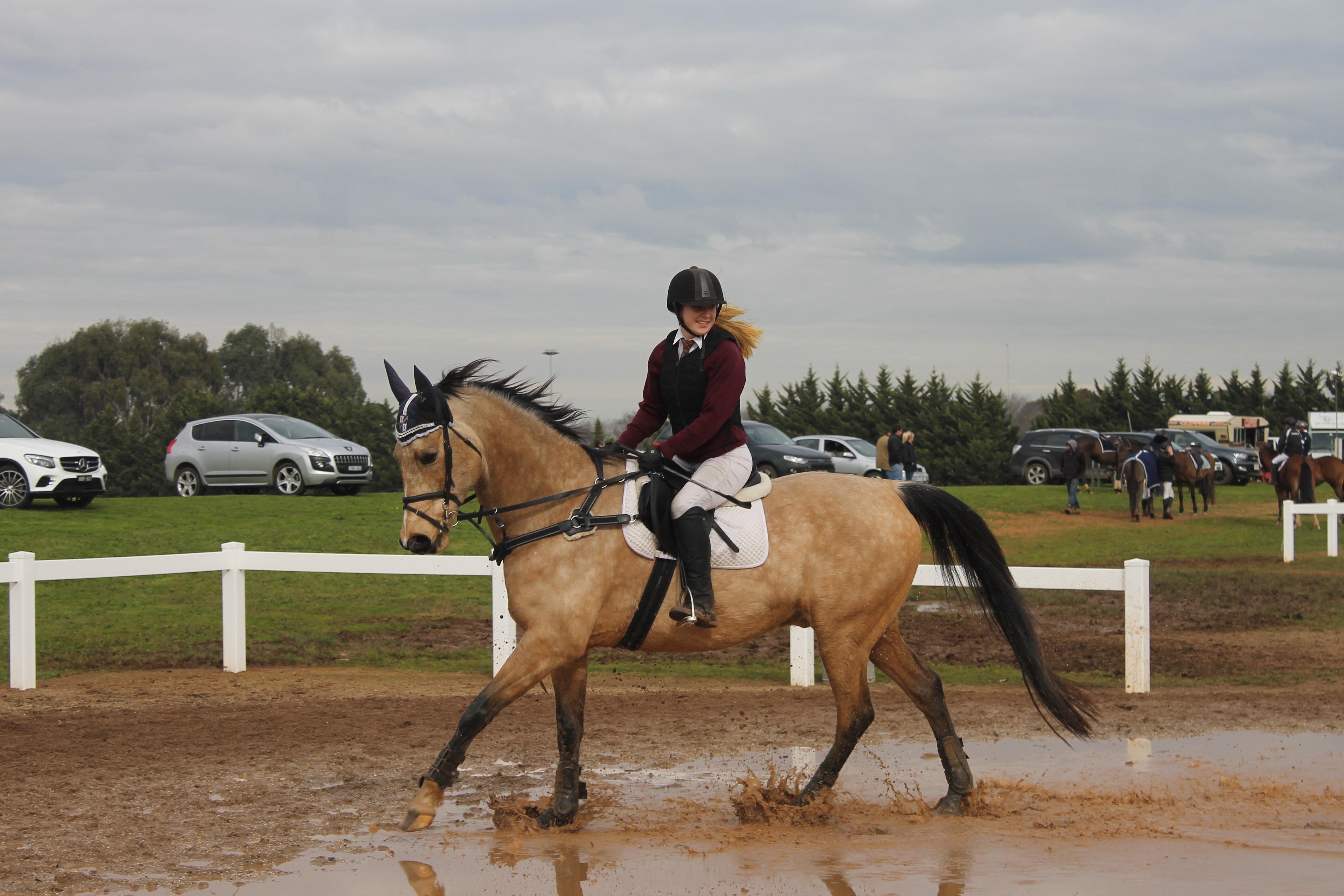 my handsome man Riley | Scrolller