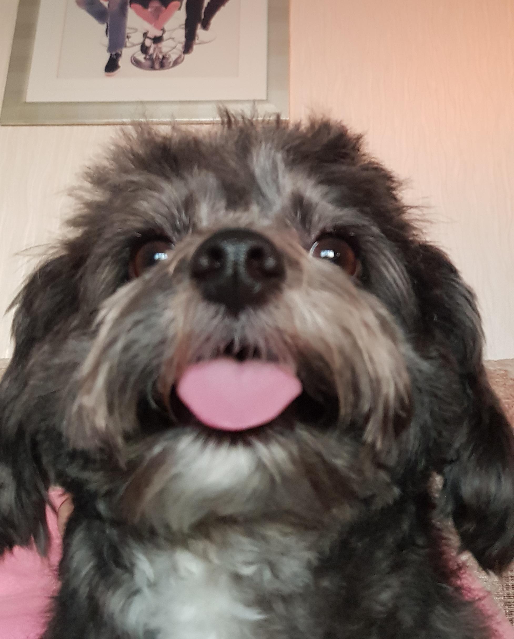 My handsome son | Scrolller